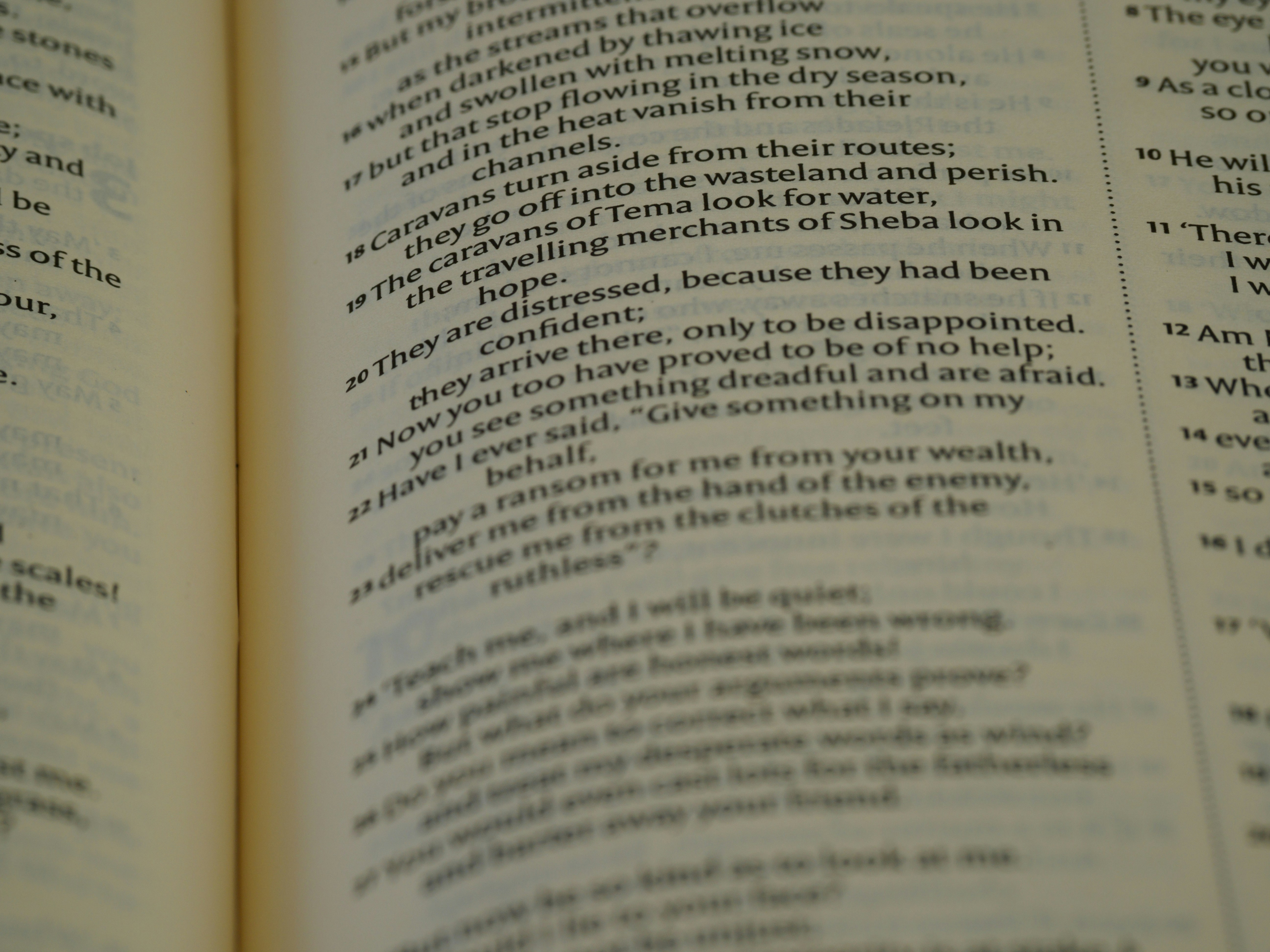 A close up of an open book with words on it photo – Free Grey Image on ...