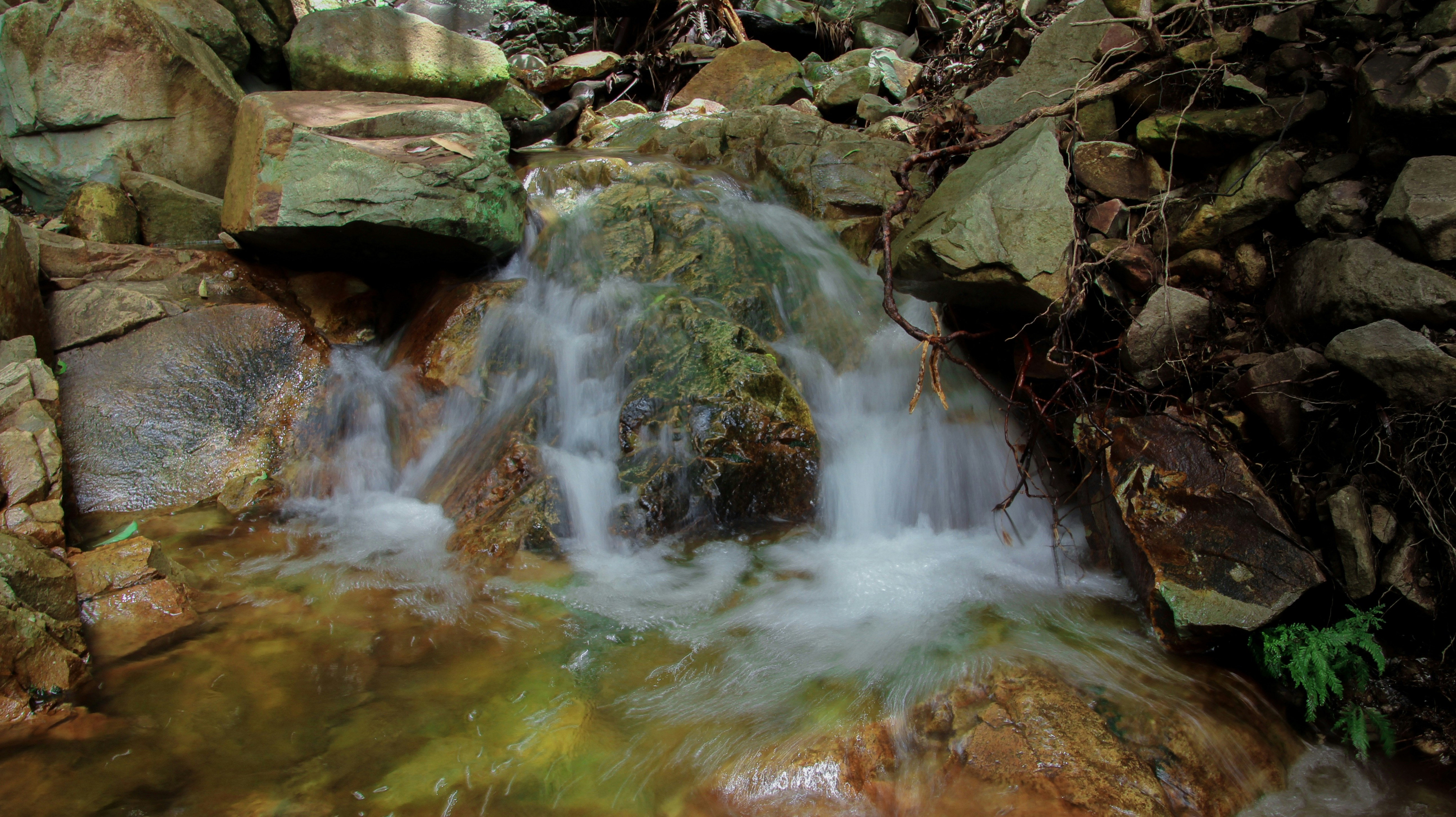 A stream of water running over rocks in a forest photo – Free Moogerah ...