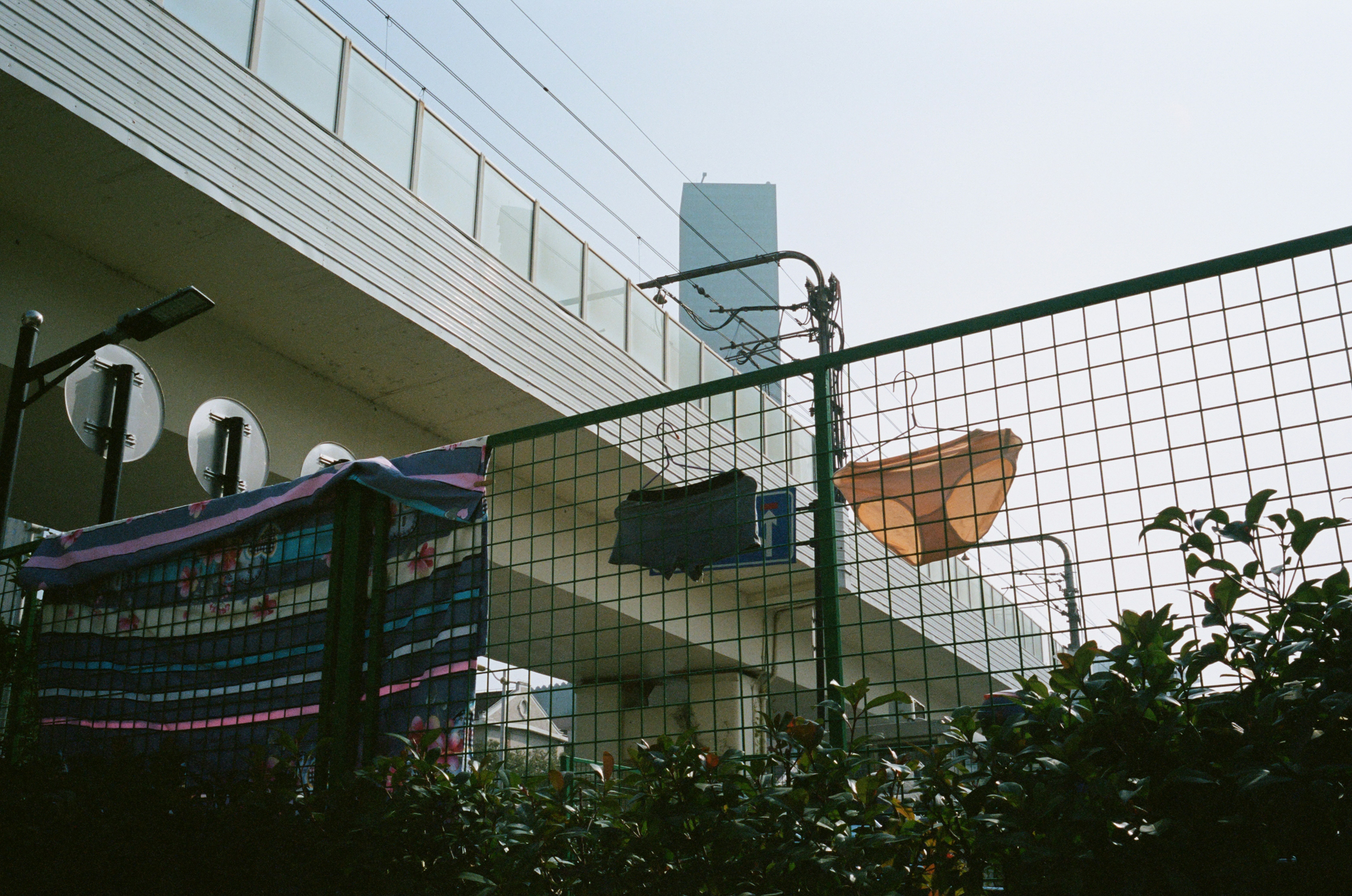 Clothes hanging on a clothes line behind a fence photo – Free Bush ...