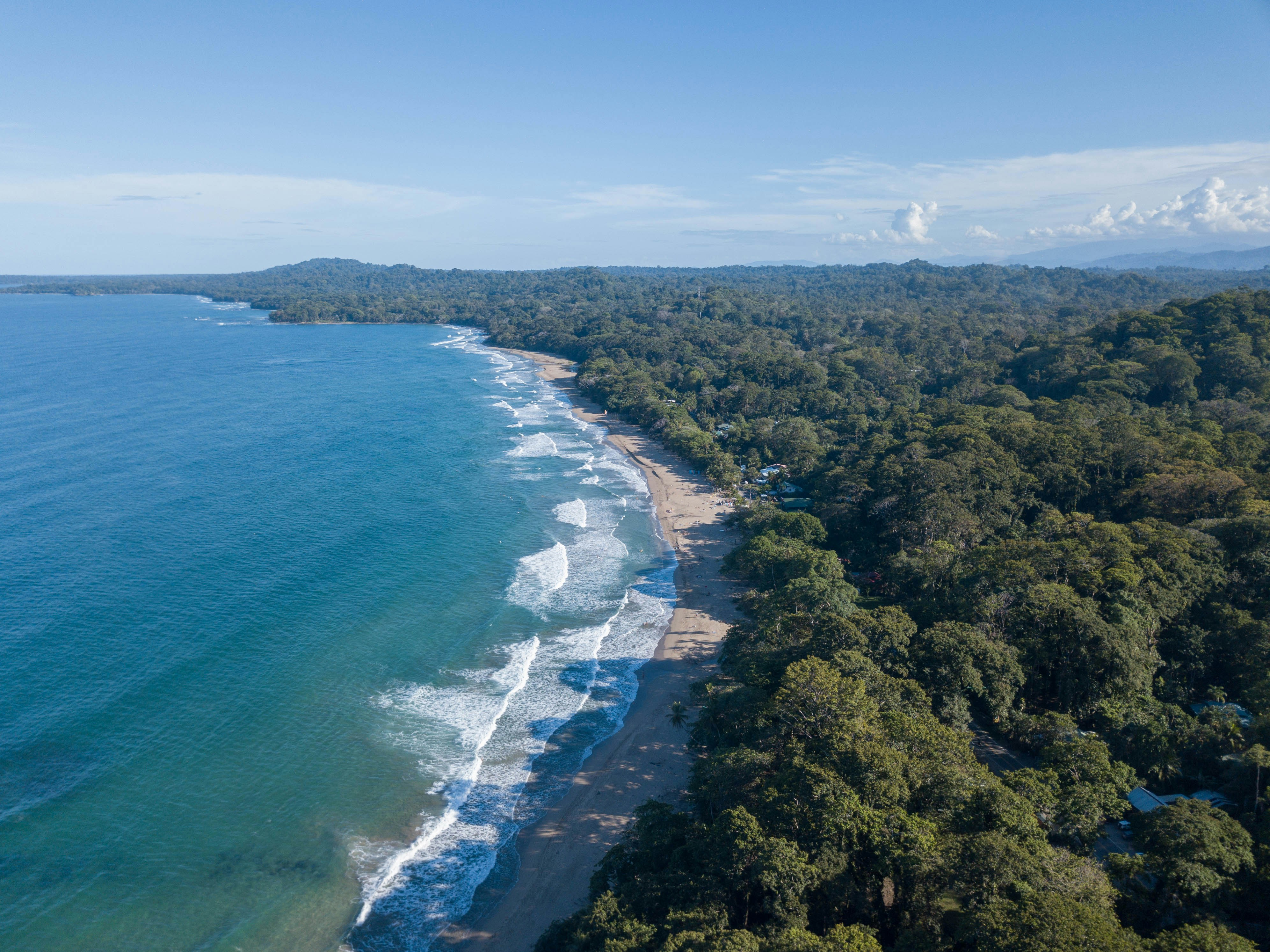 Aerial view of ocean waves meeting a lush green forest along a sunny coastline.