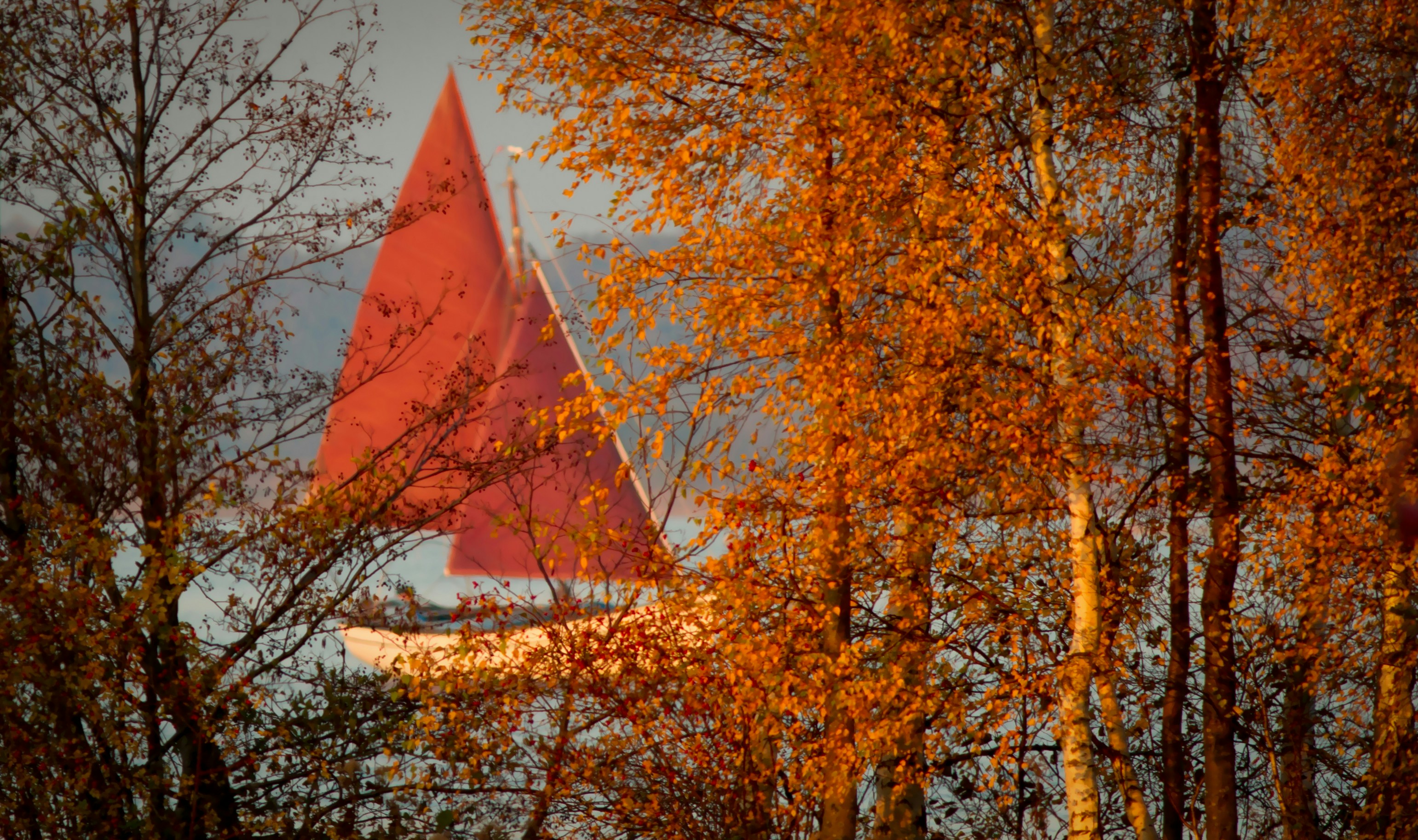 A vibrant red sailboat glides across a lake, framed by golden autumn foliage. The scene captures the tranquility of a fall afternoon.