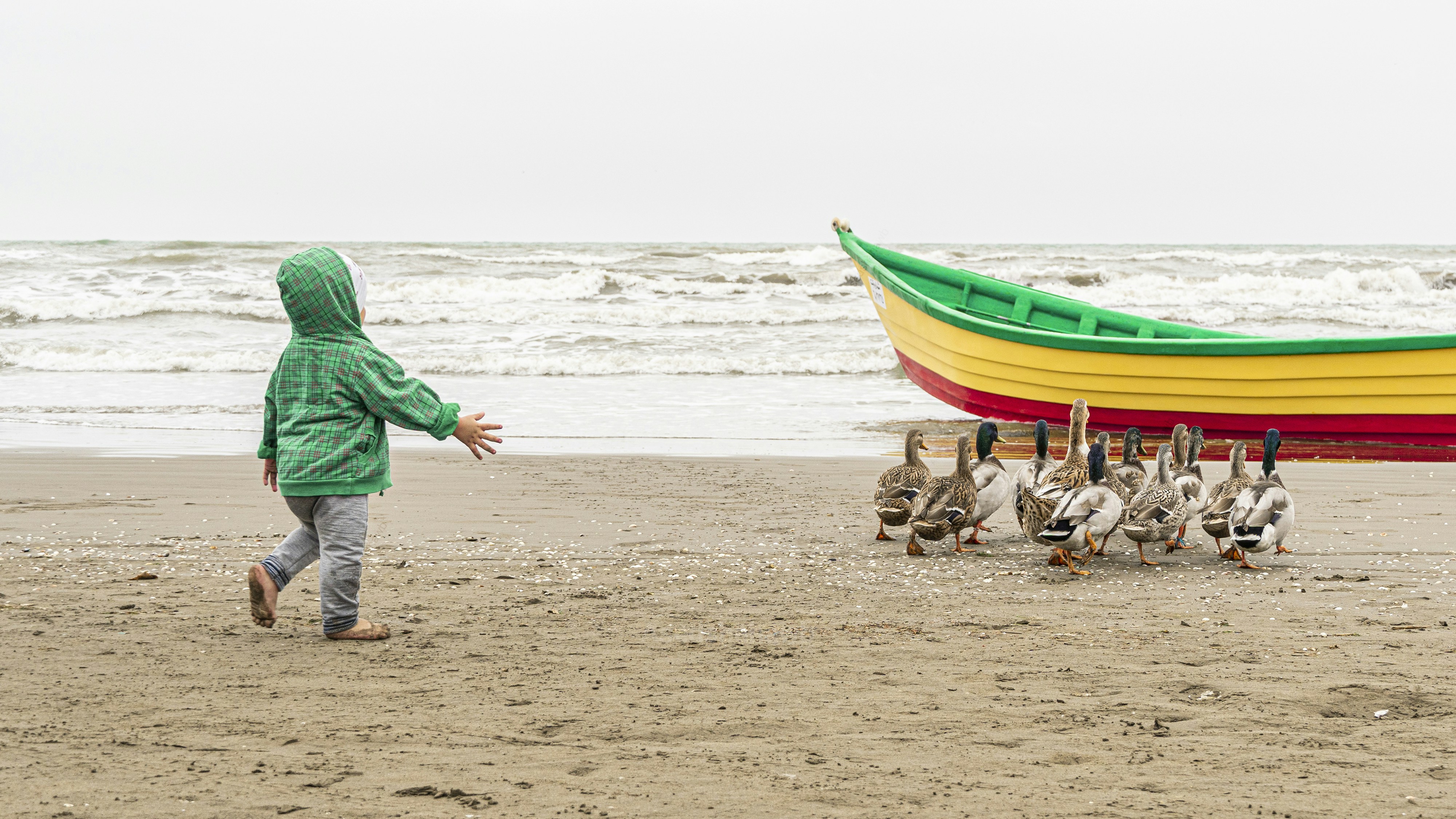 Green-Hooded Runner Chases Ducks by a Striped Beach Boat
