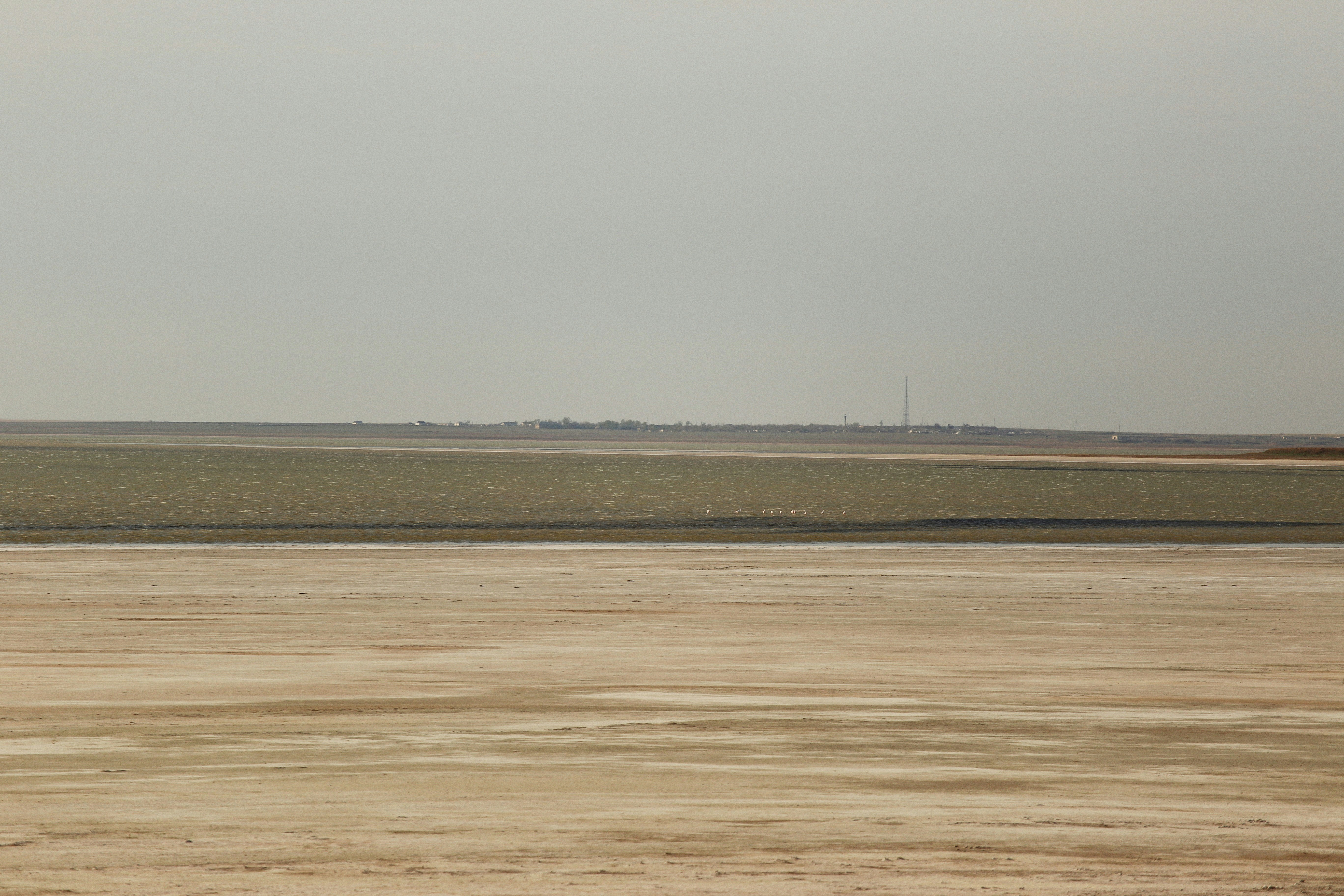 Un avion solitaire vole dans le ciel photo – Photo Gris Gratuite sur ...