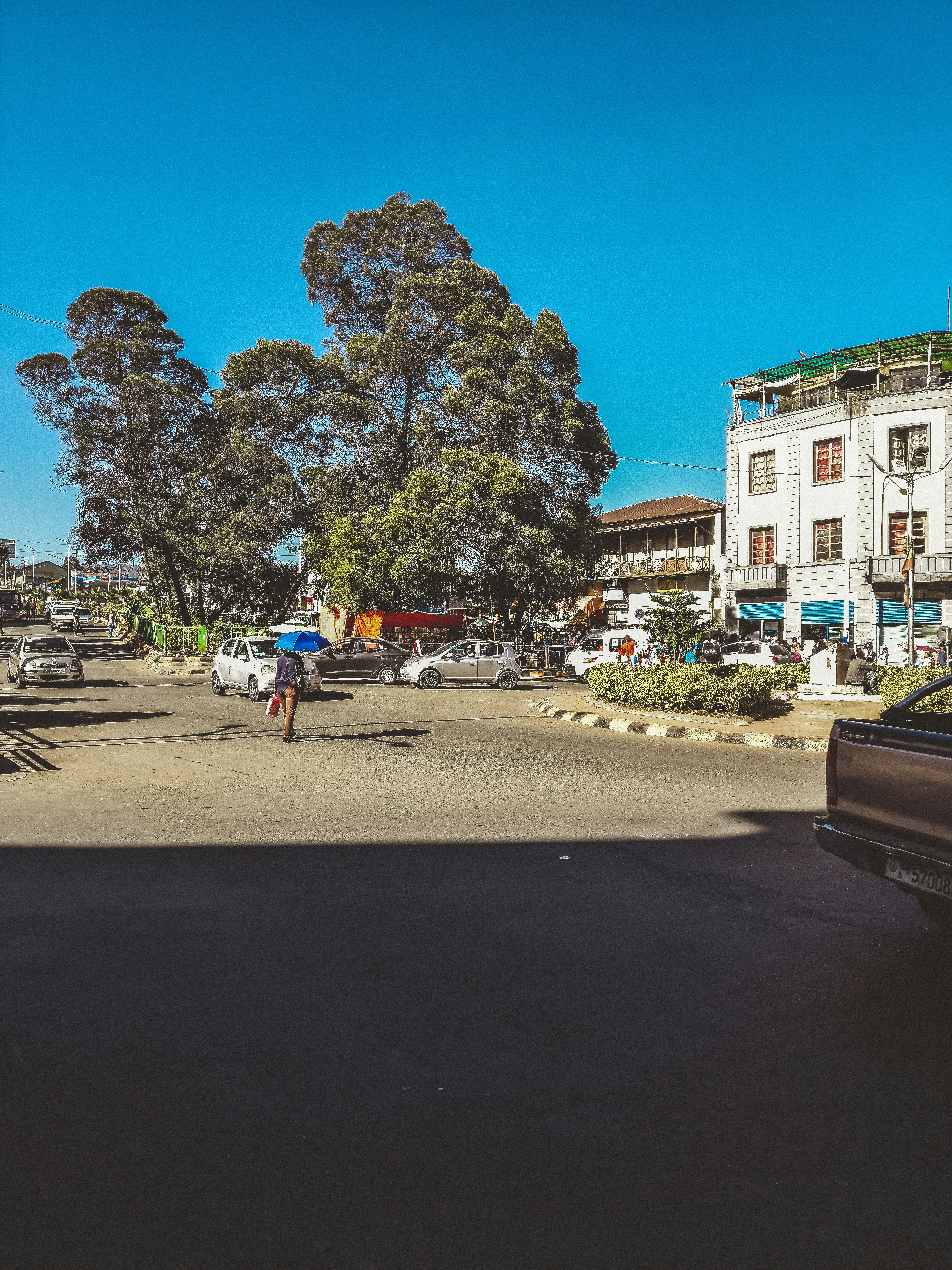 Busy street scene featuring pedestrians and vehicles navigating a roundabout, framed by lush trees and urban architecture.