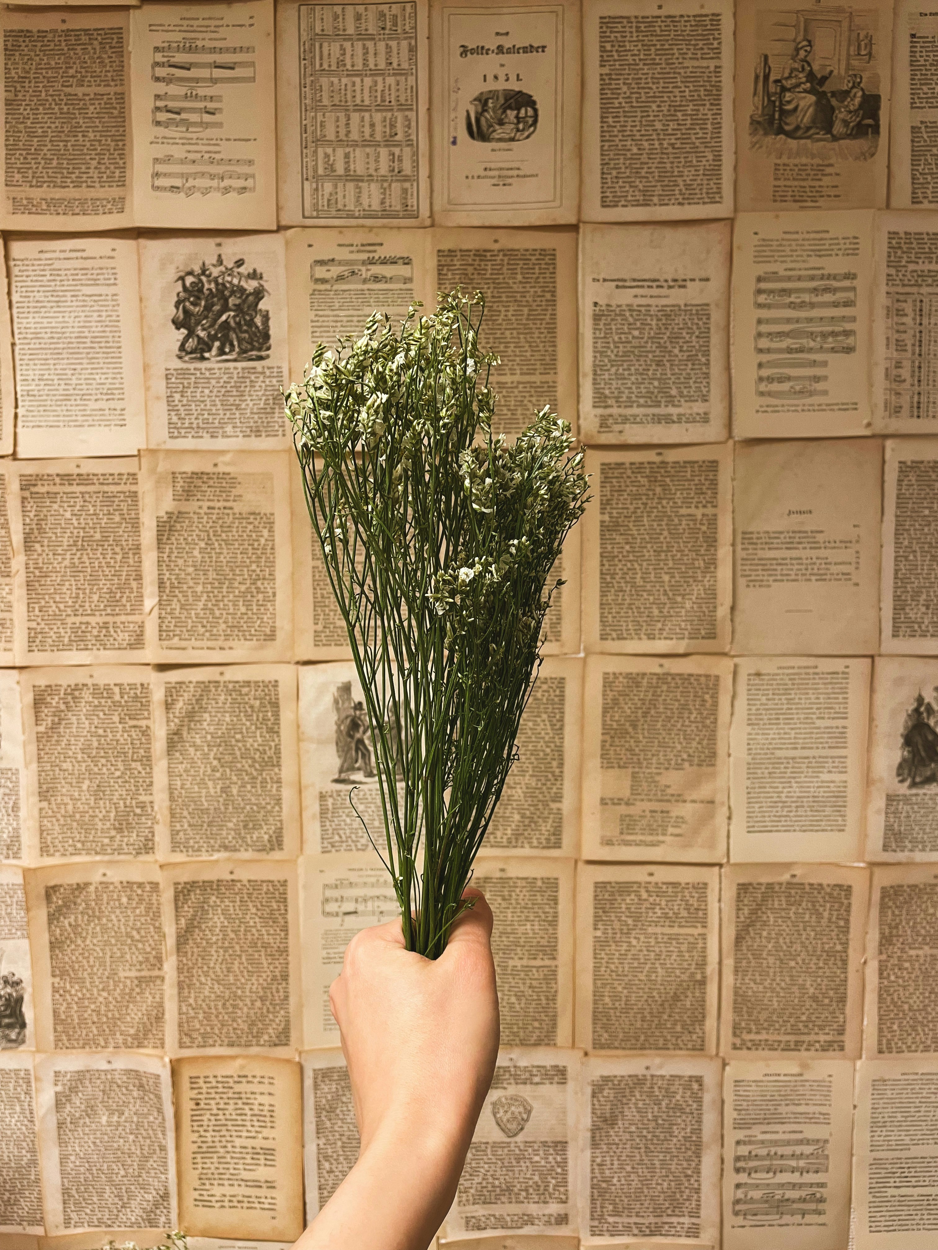 Whispered Bouquet Against Timeworn Pages
