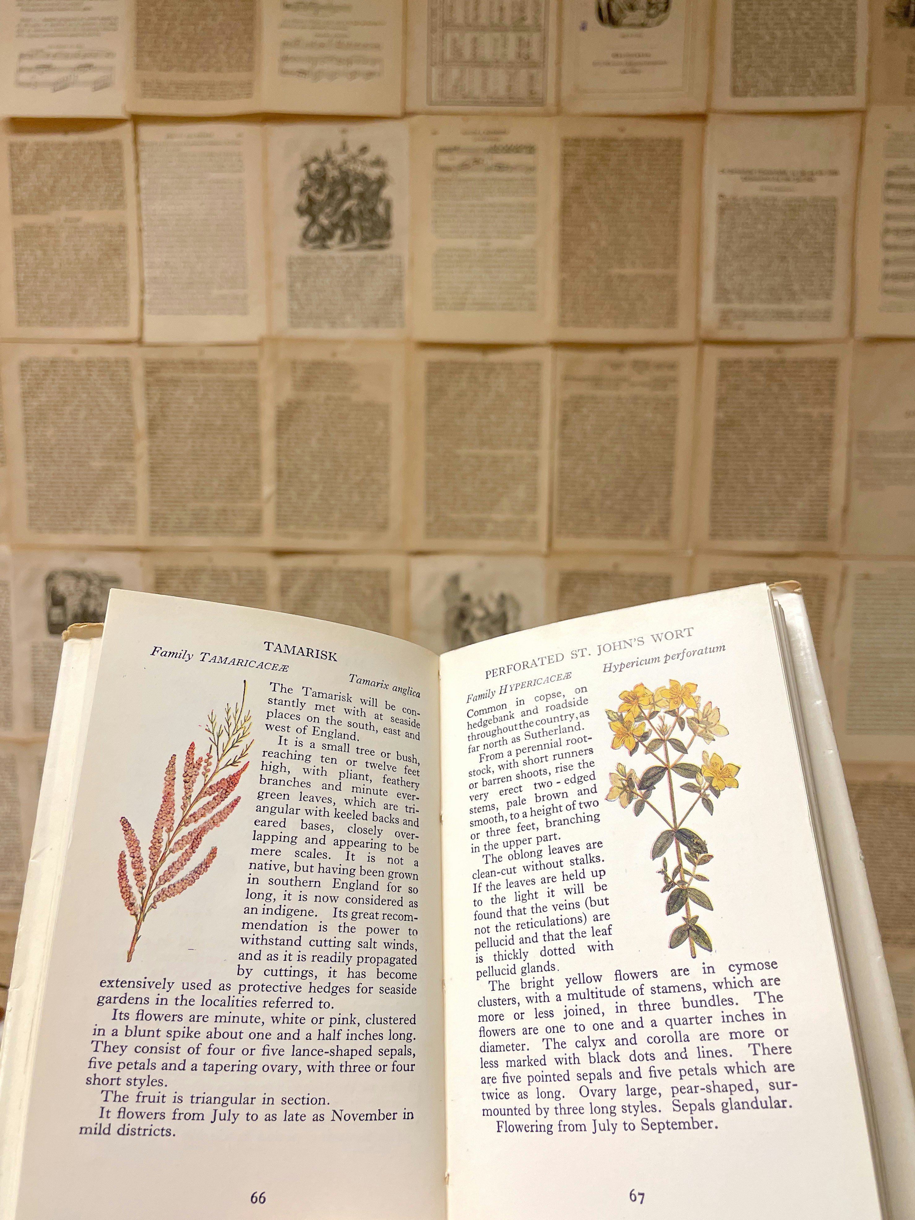 an open book sitting on top of a table
