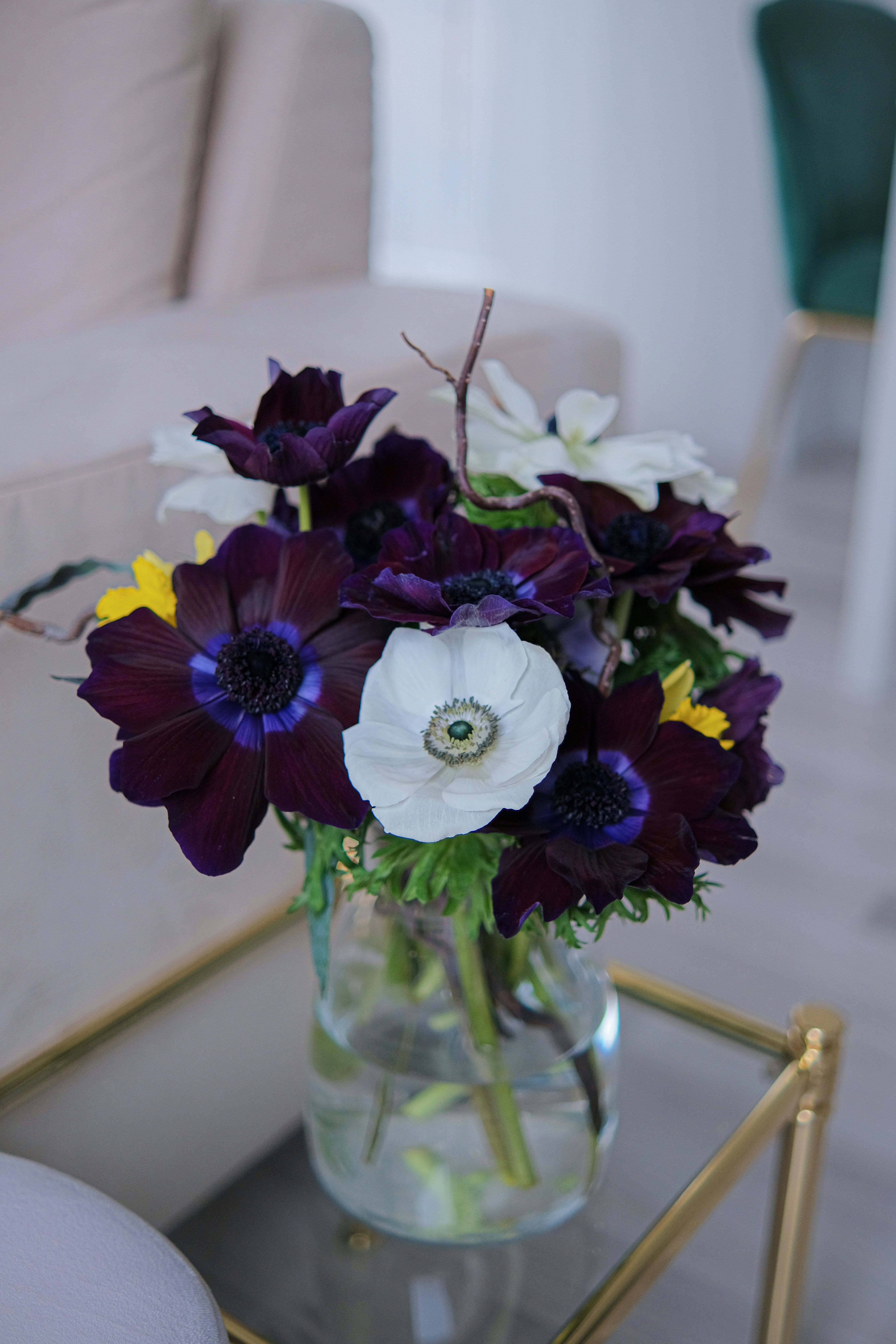 Vivid Bouquet in Glass Vase: Deep Purple Anemones Meet White Poppy Centerpiece