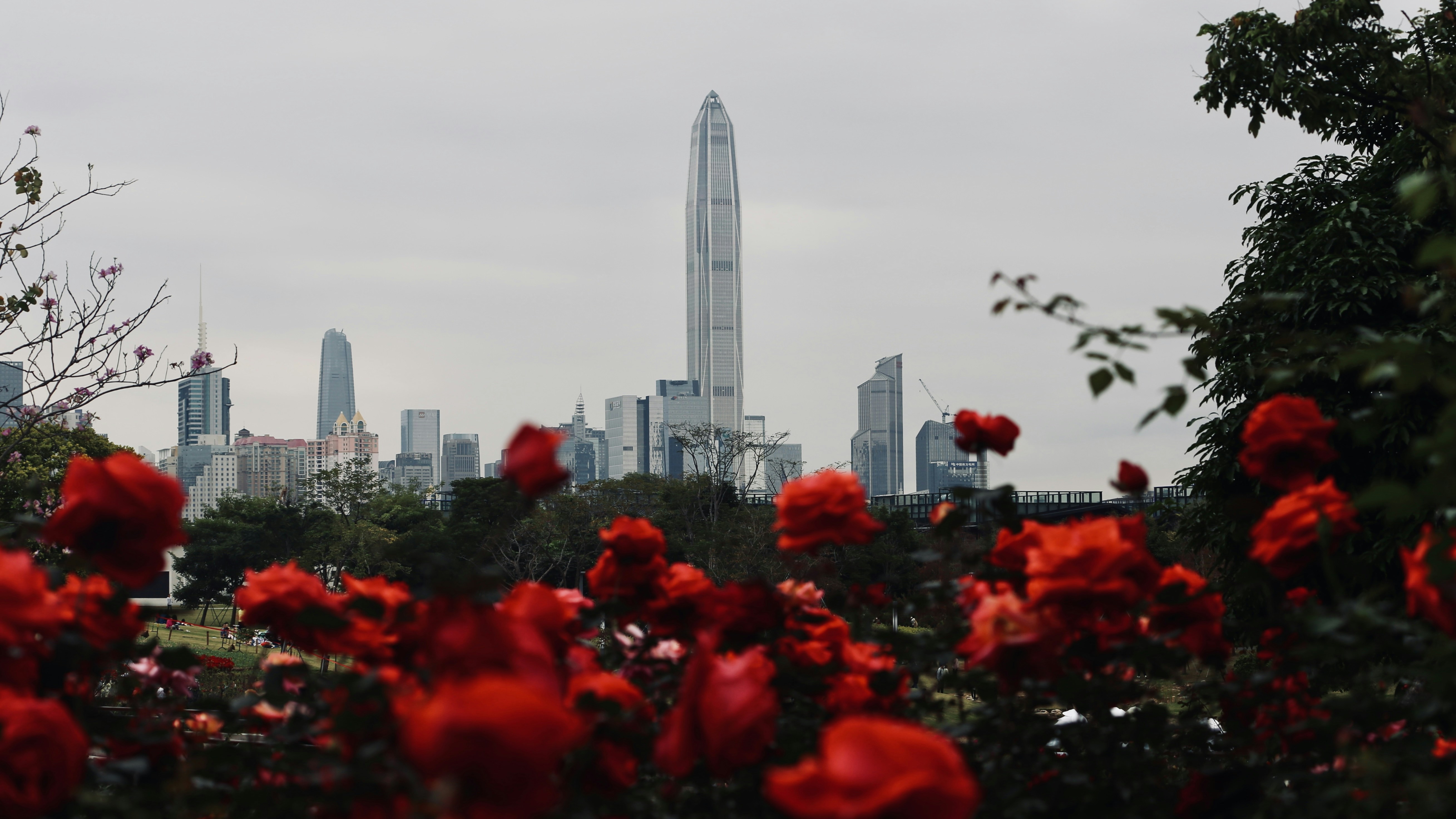 A view of a city skyline with red flowers in the foreground photo ...