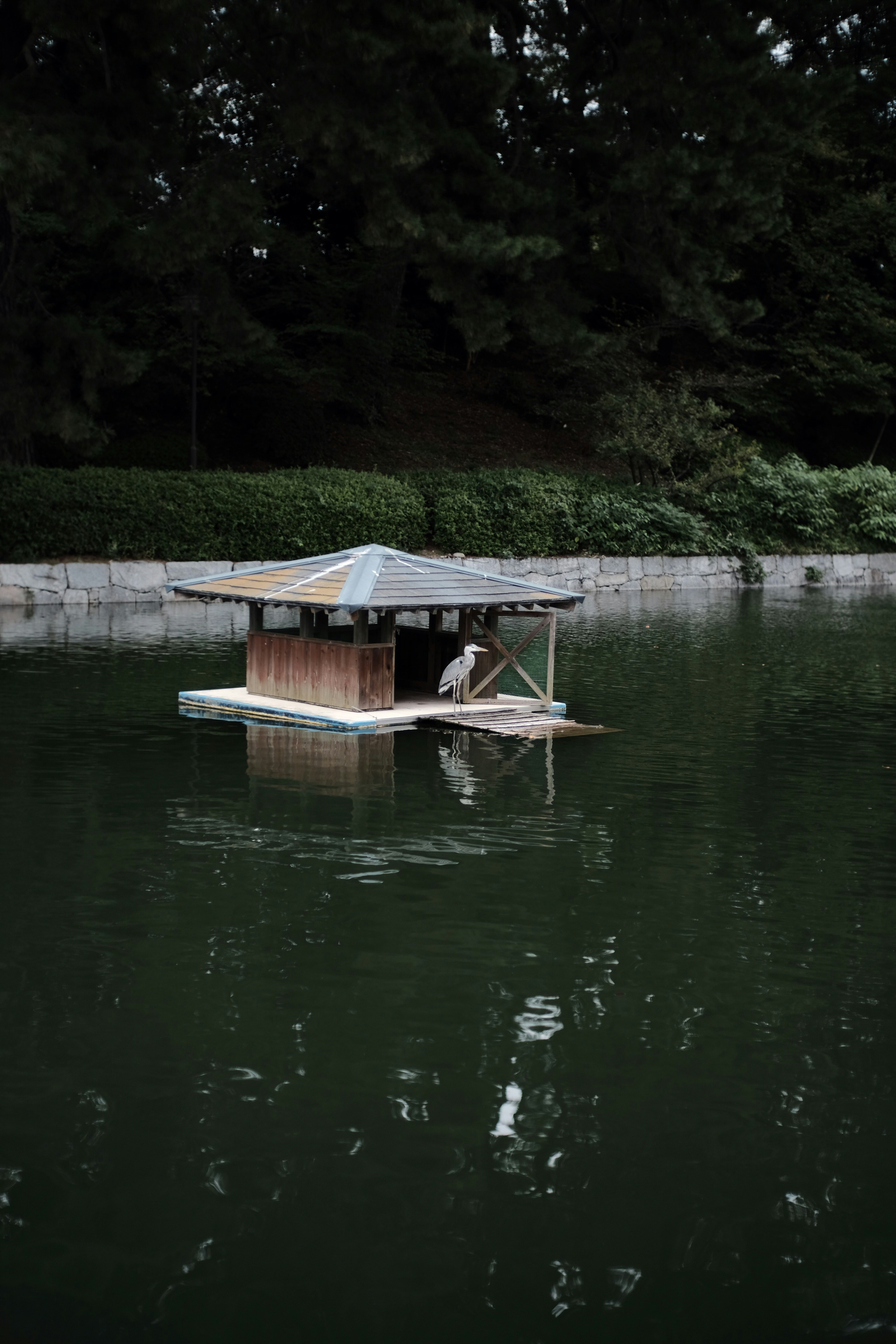 Floating Shelter on a Quiet Park Pond, Home to a Watchful Heron