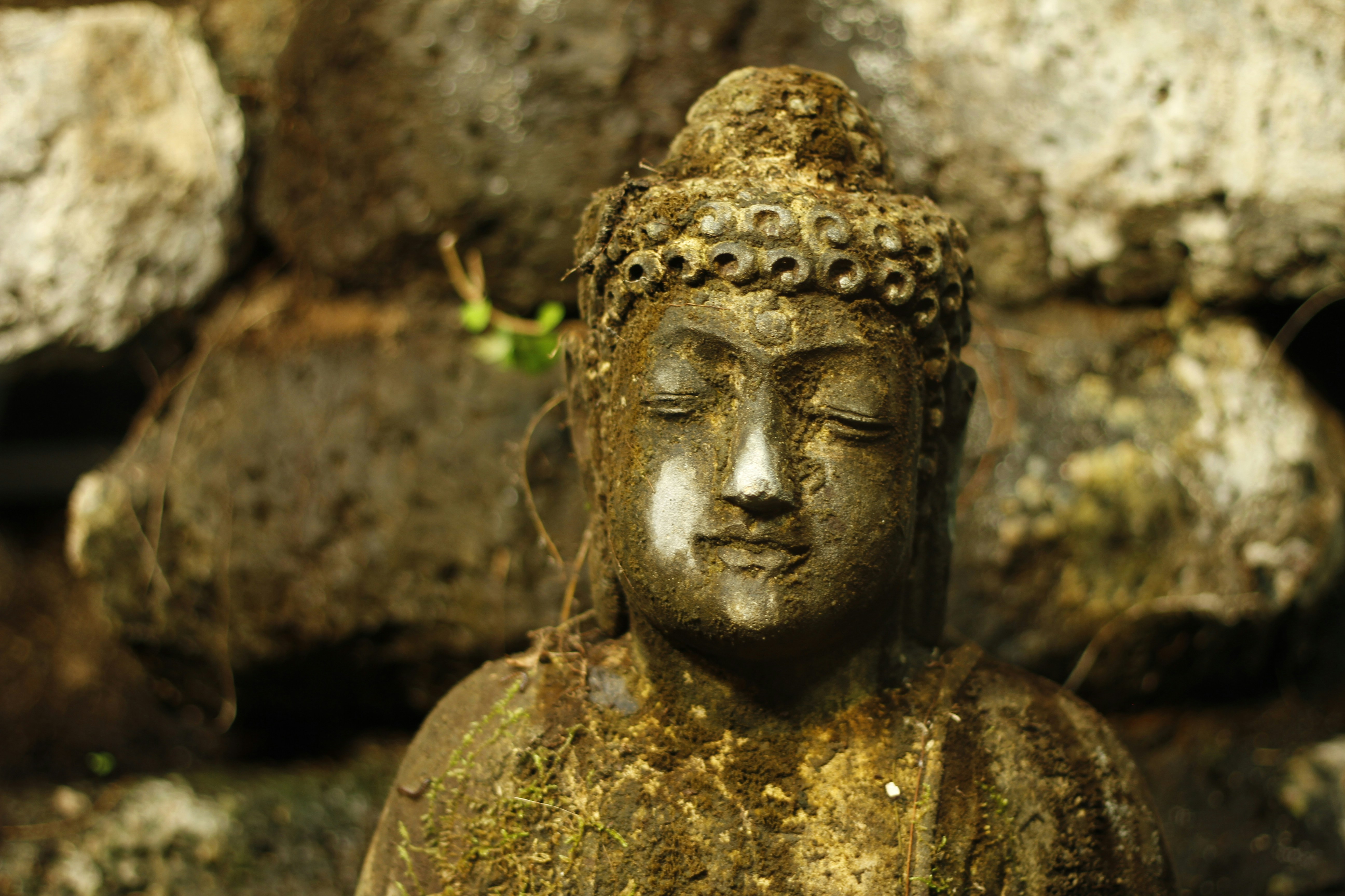 Ancient Buddha statue partially covered in moss, set against a textured stone background, evoking tranquility and timelessness.