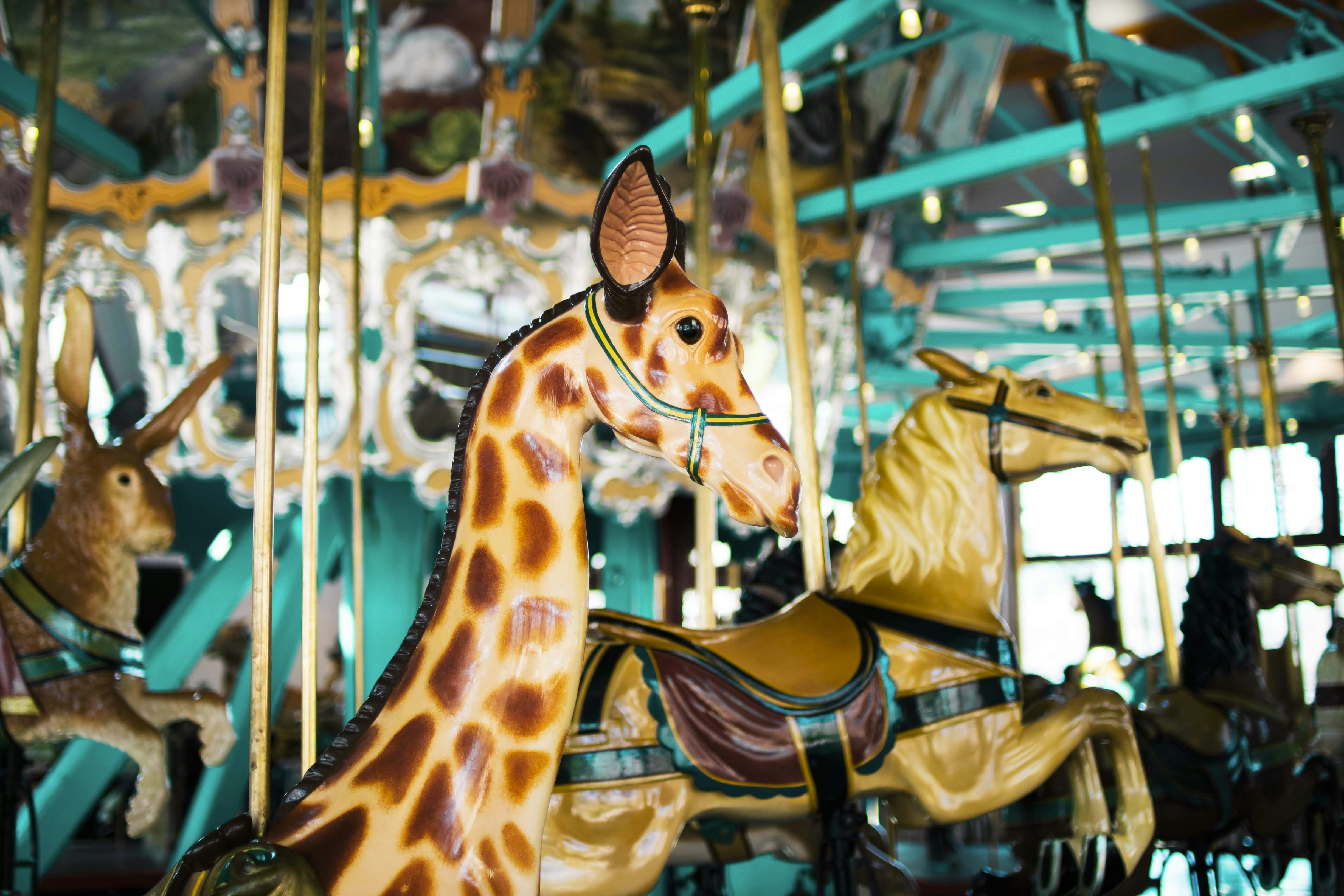 Giraffe on ferris wheel 