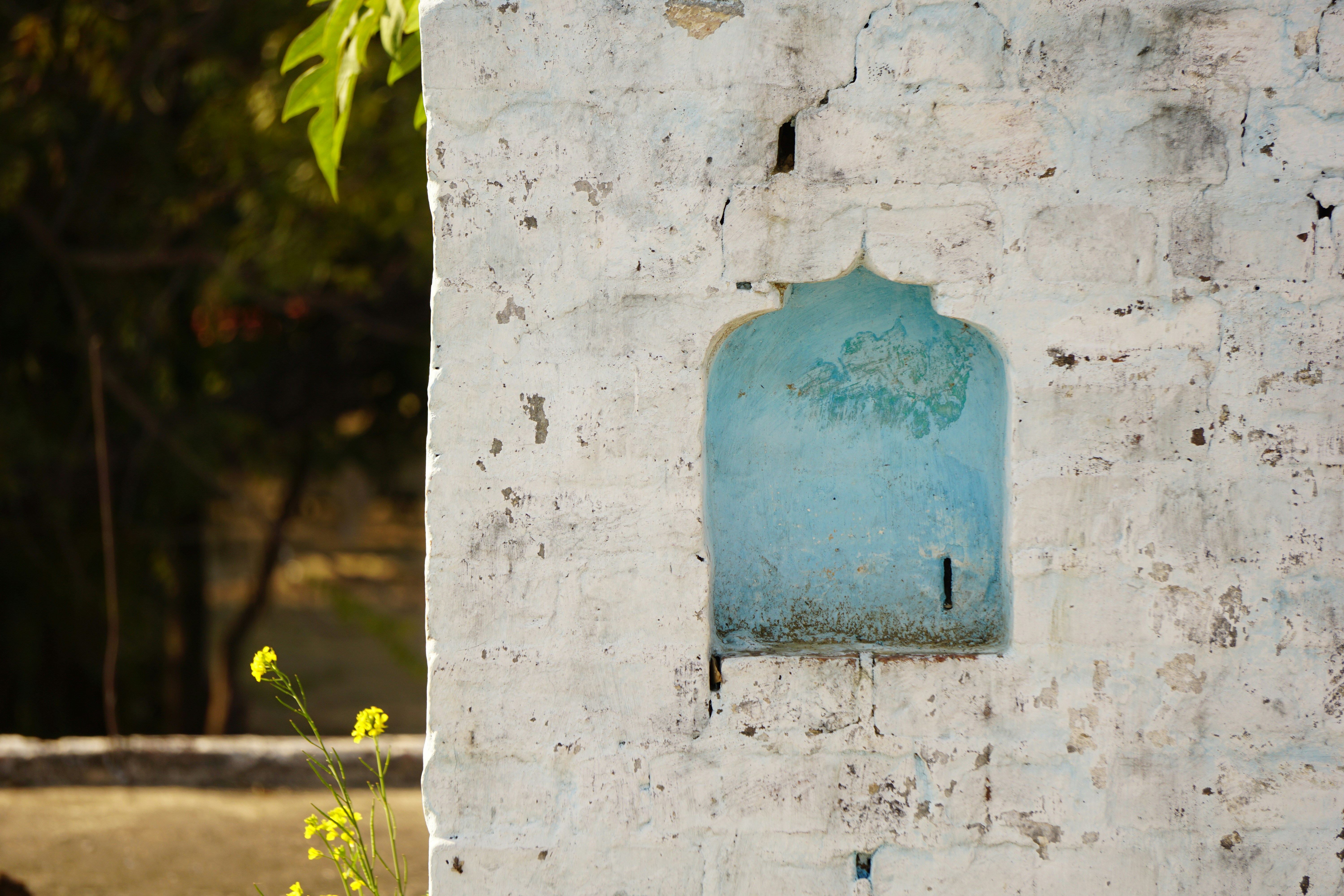 Weathered white wall with a faded blue niche, surrounded by soft greenery and subtle sunlight. The texture and color tell a story of age and history.