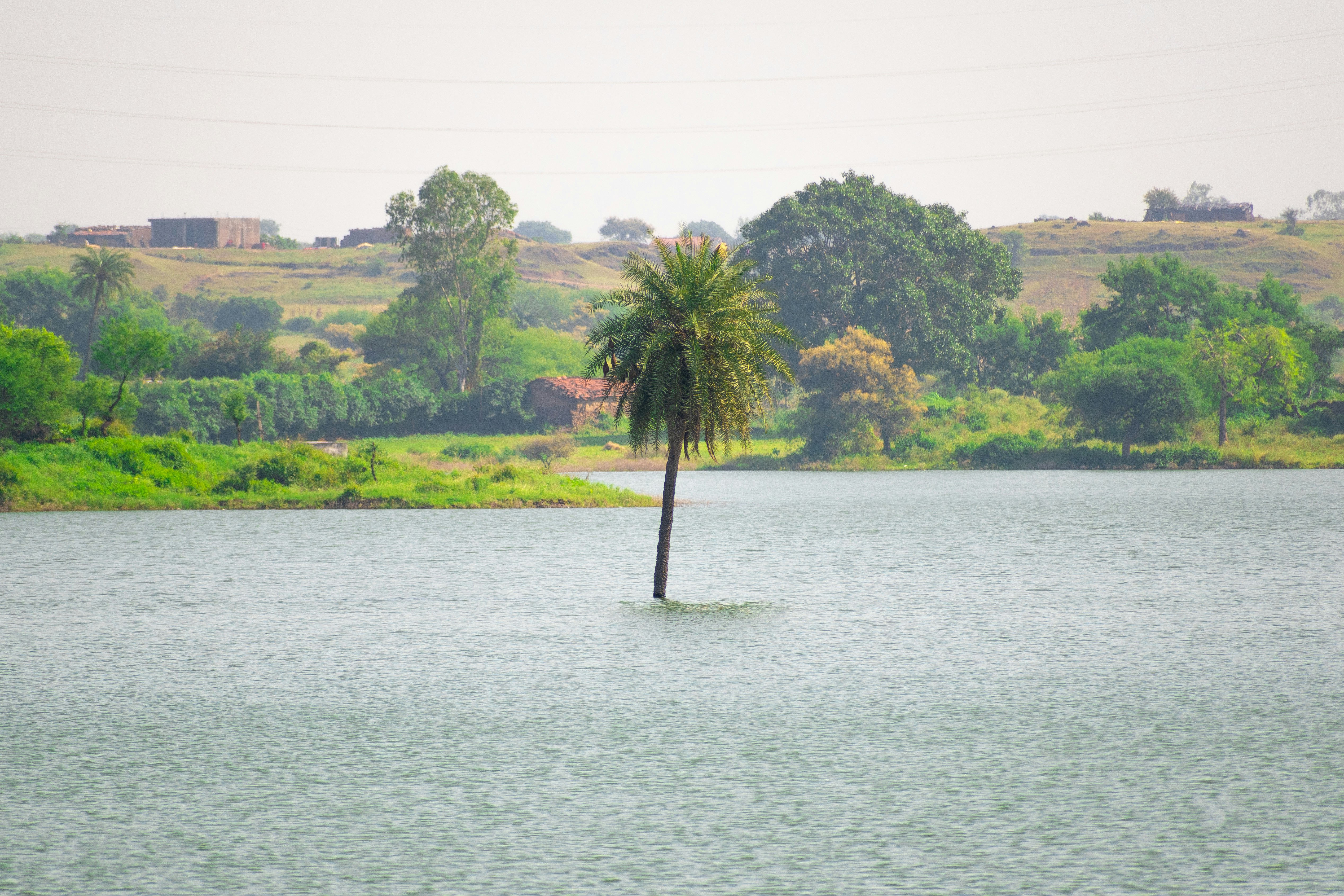 Facing The waves Ocean 