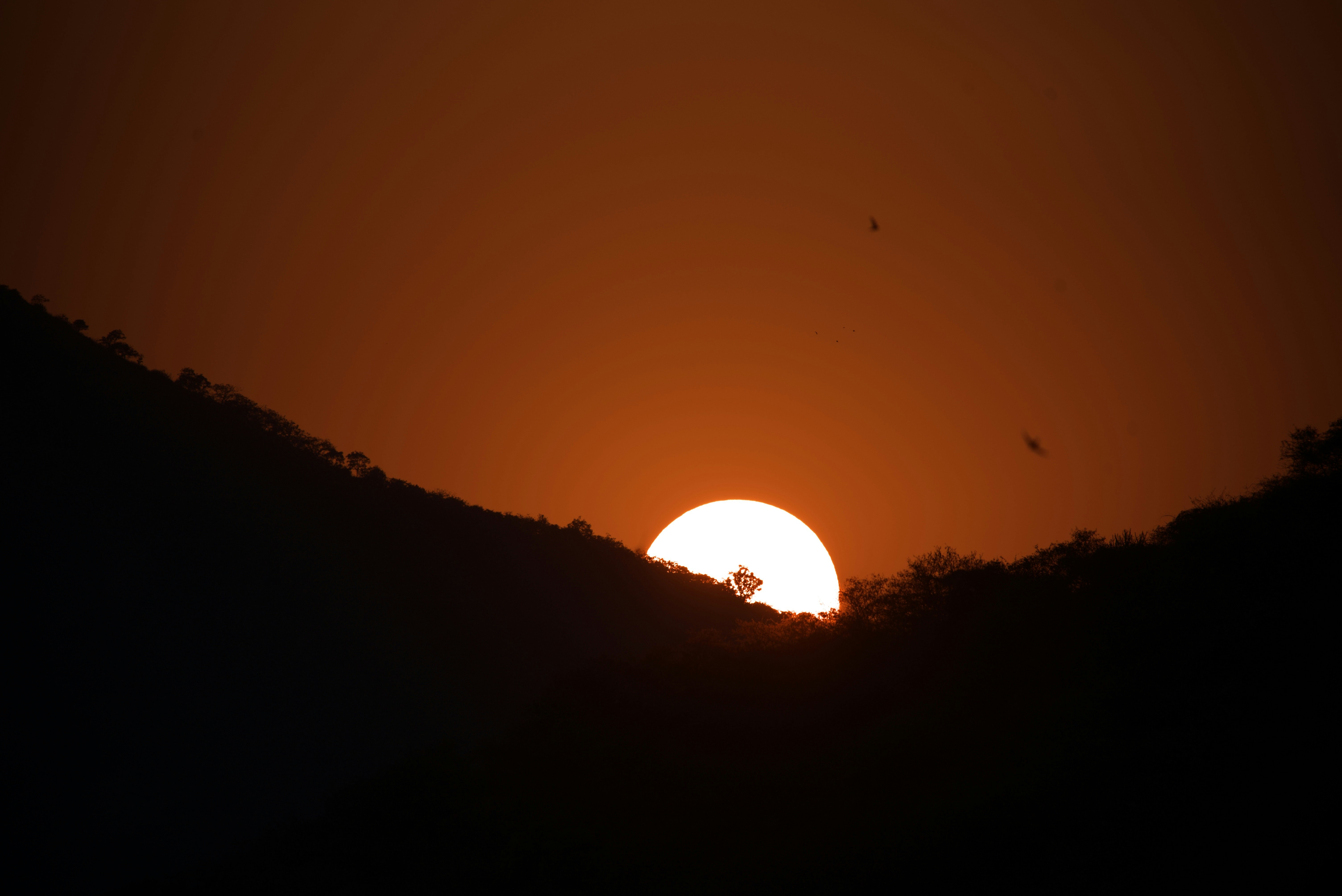 The sun is setting over a hill with trees photo – Free Udaipur Image on ...