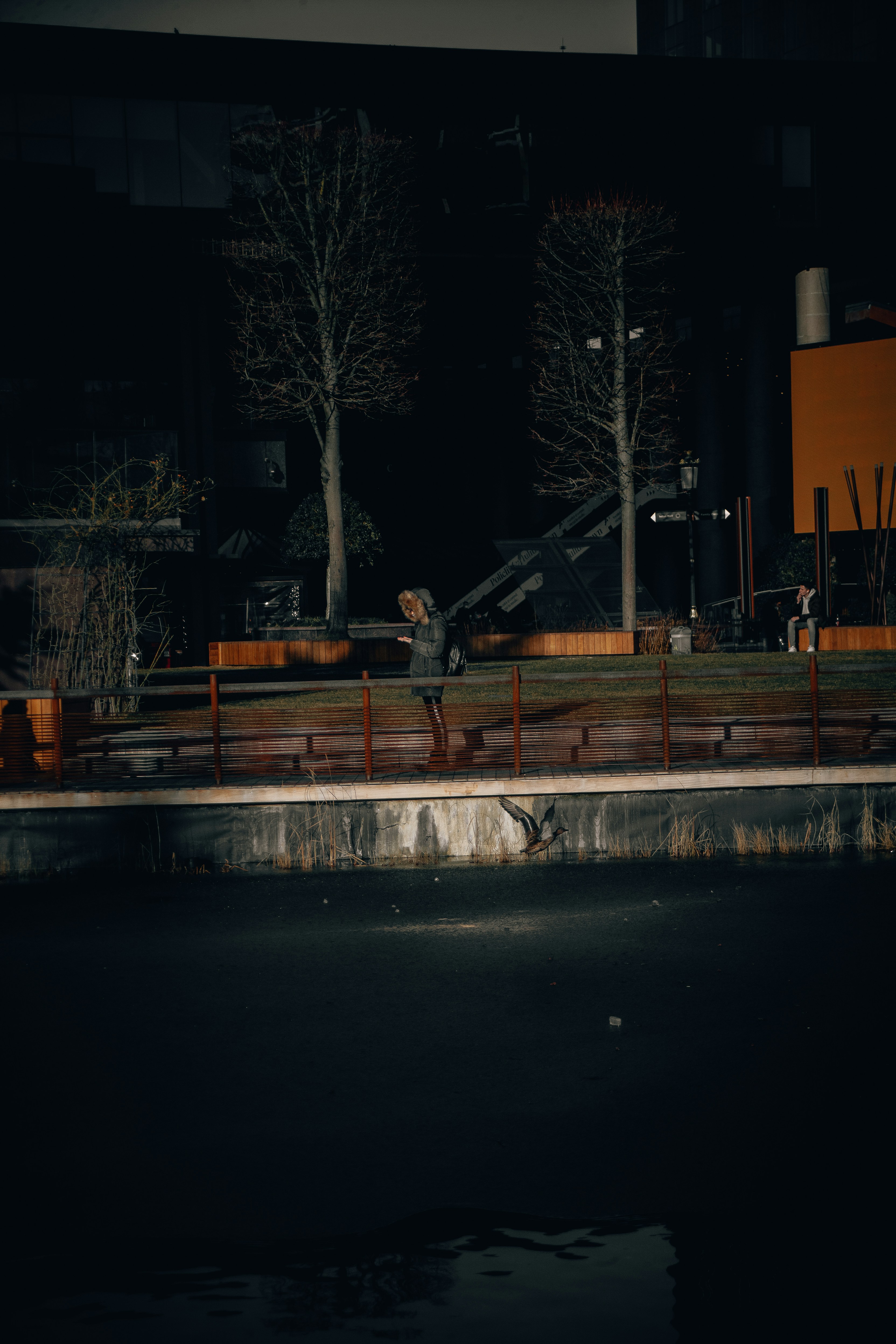 A man riding a skateboard down a ramp at night photo – Free Building ...