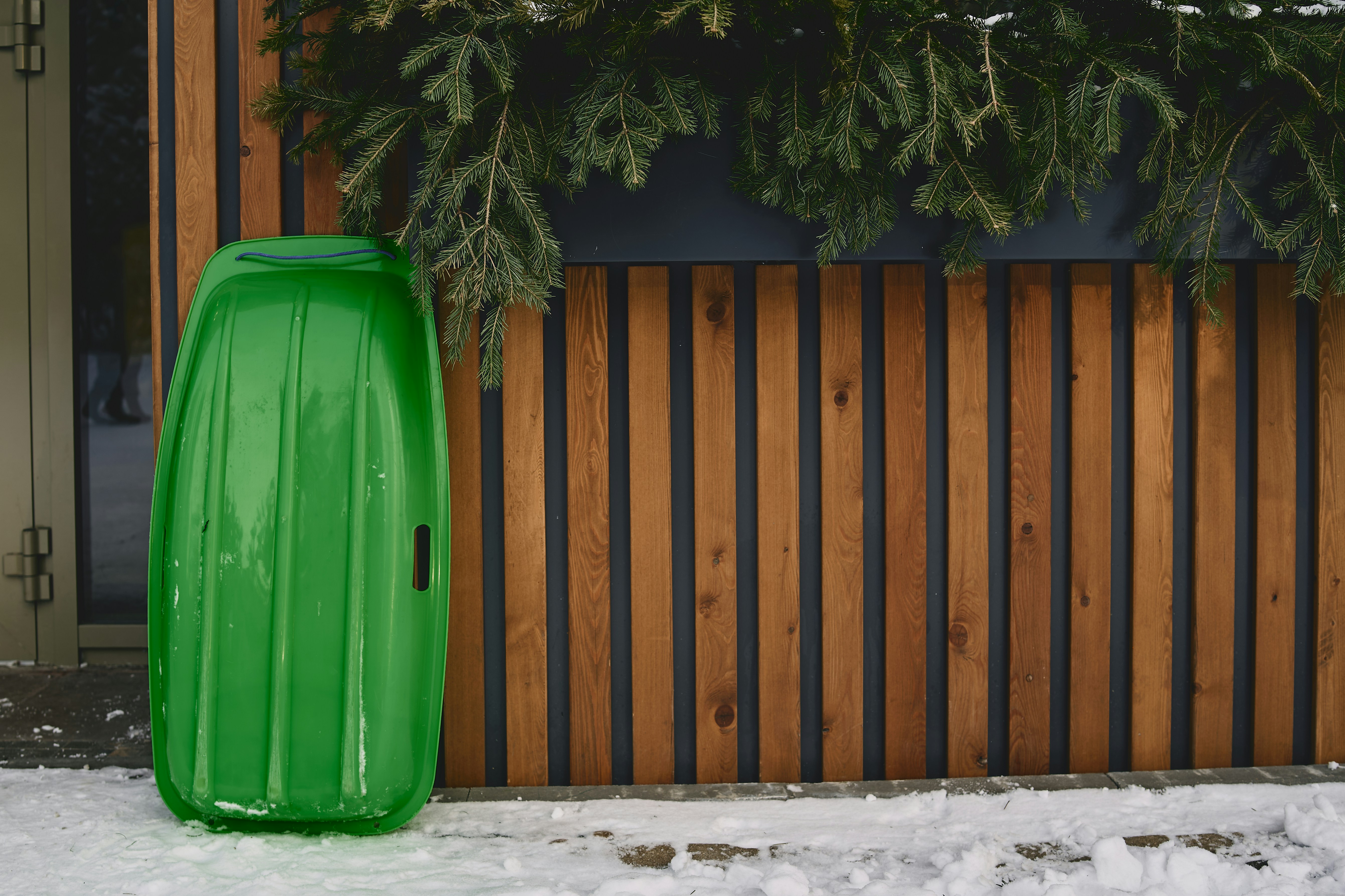 Green Canopy of Winter: A Bright Bus Stop by the Fence
