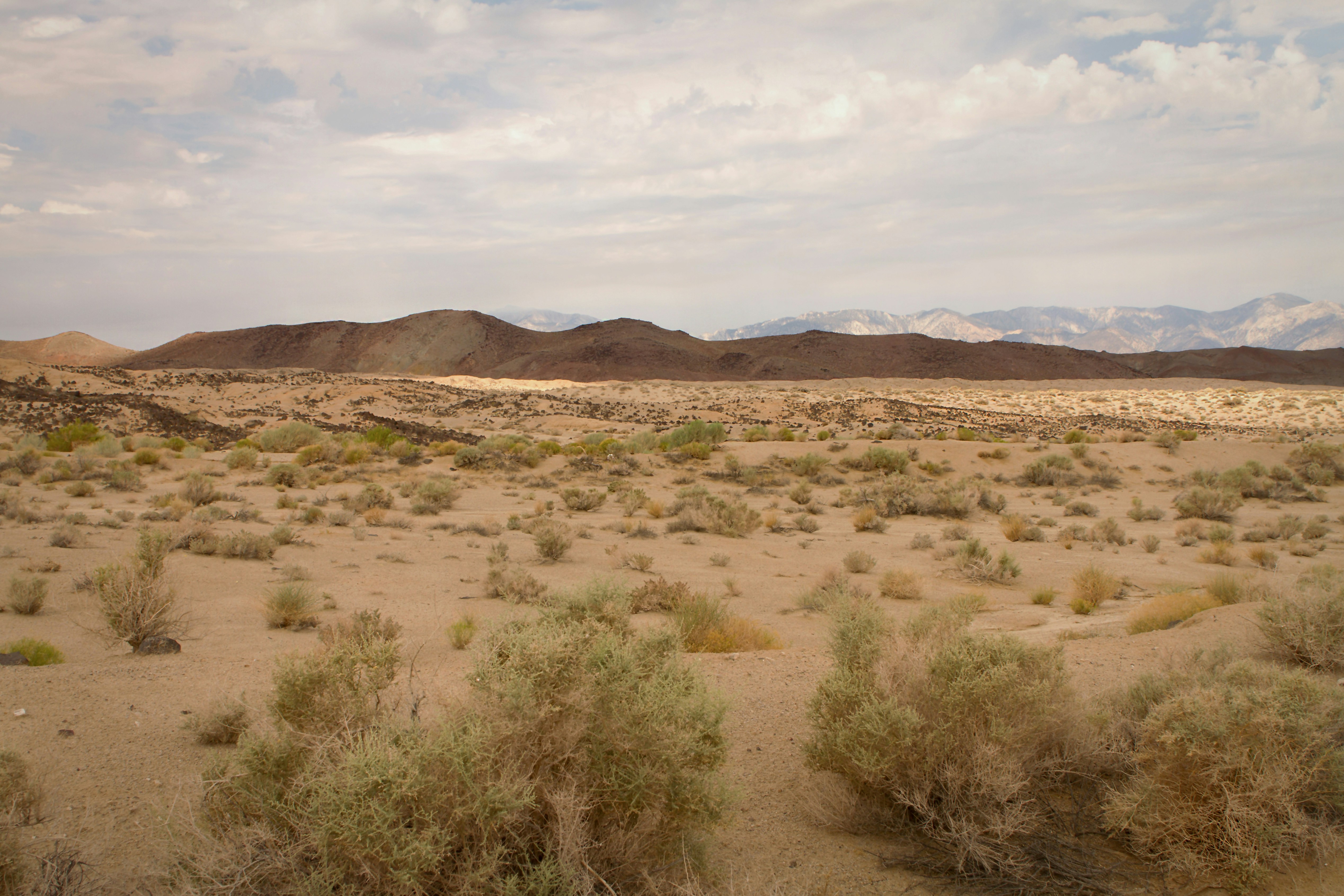 Vast desert expanse dotted with sparse vegetation under a cloudy sky, showcasing the rugged terrain and distant mountains.