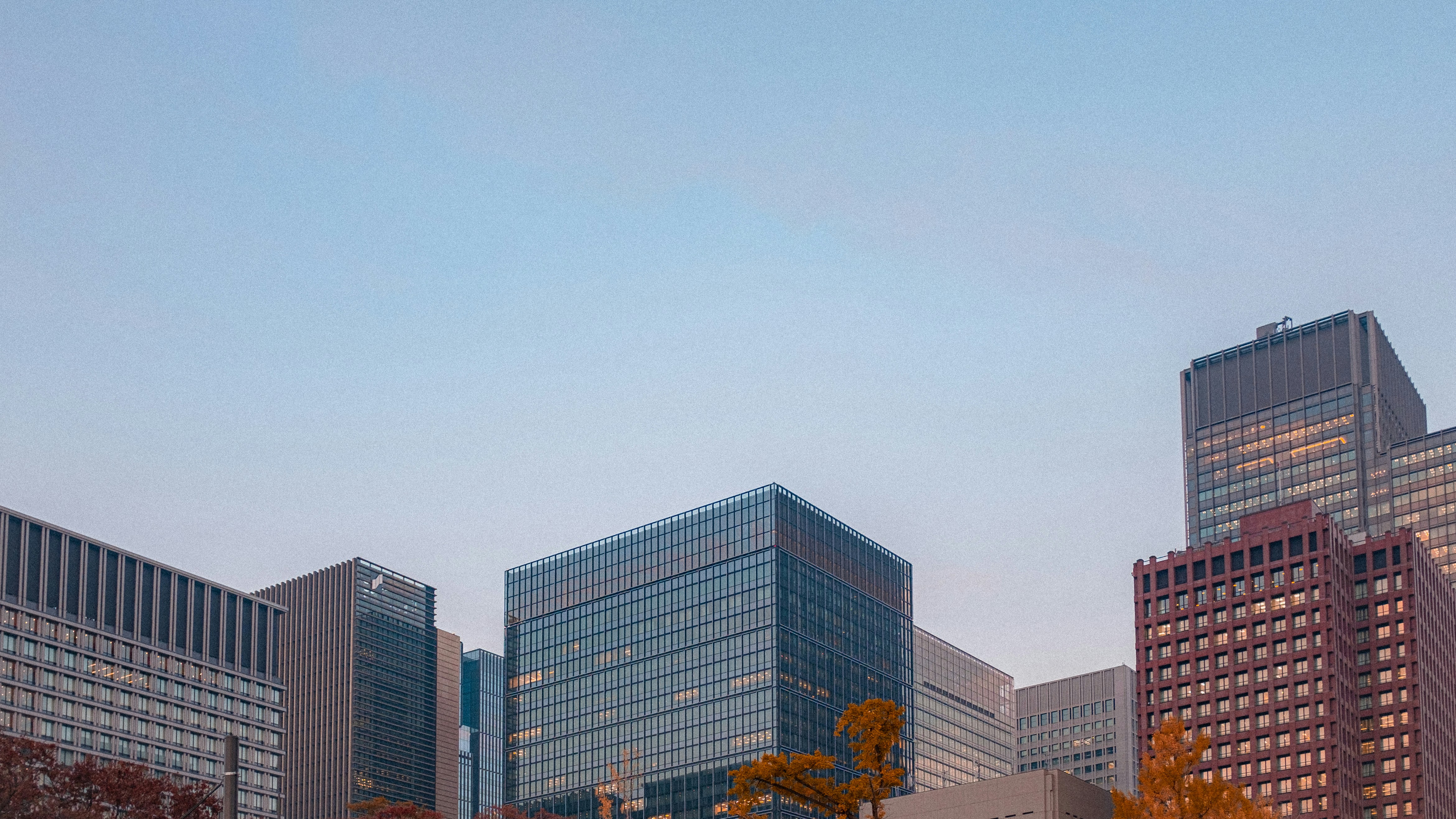 Glass Giants Under a Crystal Sky