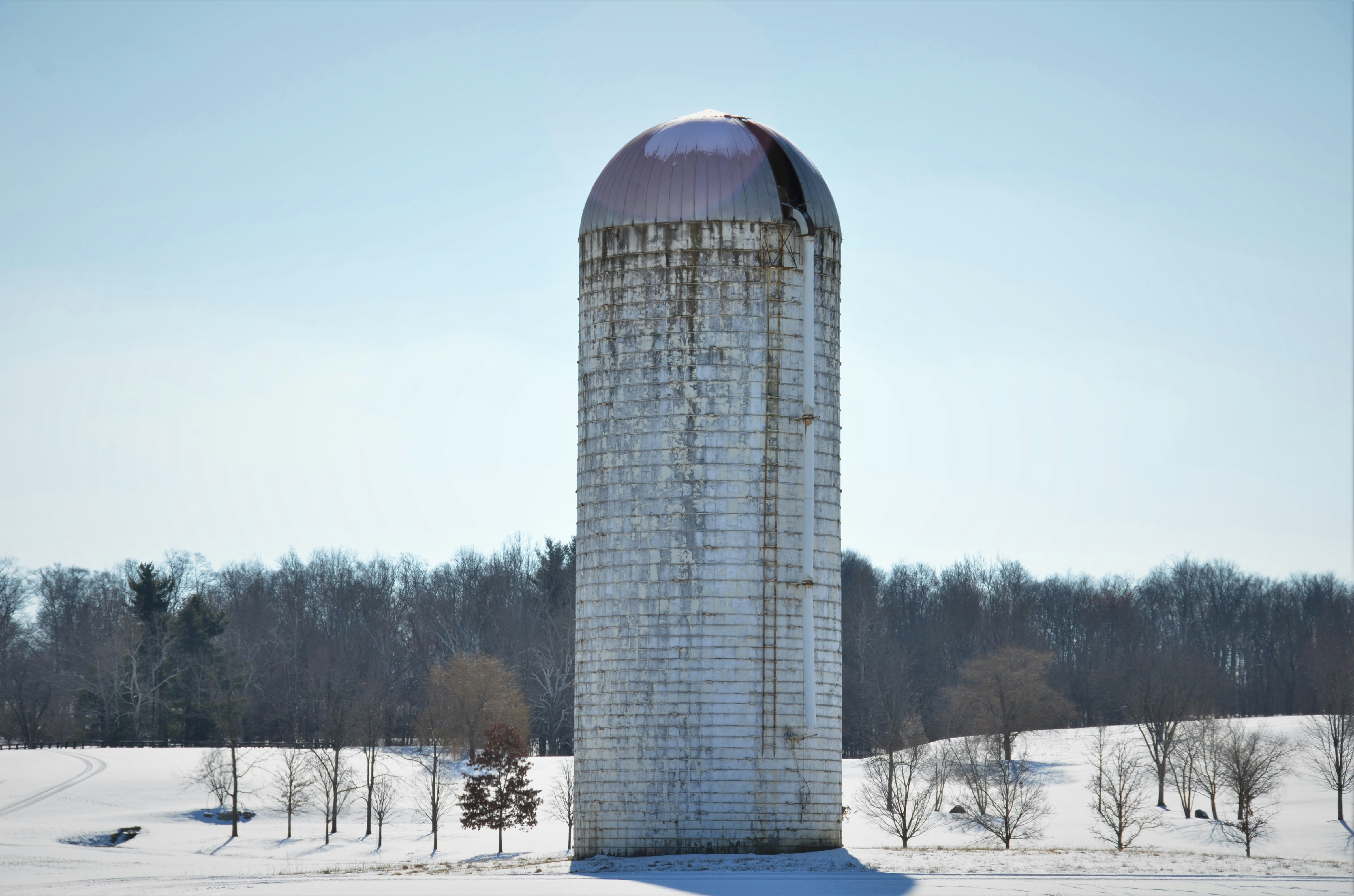 Dome and Snow: The Lone Silo in a Quiet Winter Clearing