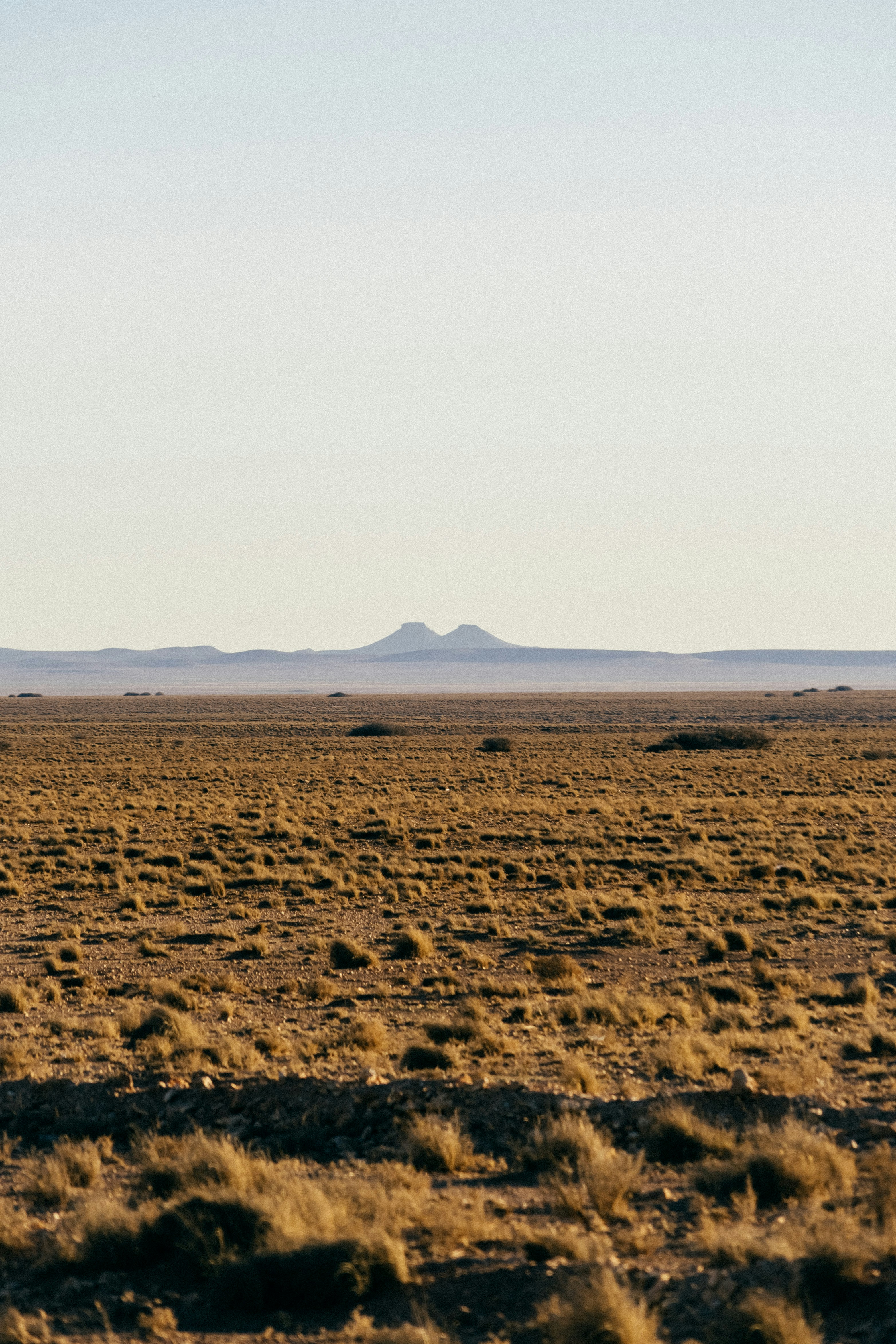 Vast desert landscape with sparse vegetation and distant mountains under a clear sky.