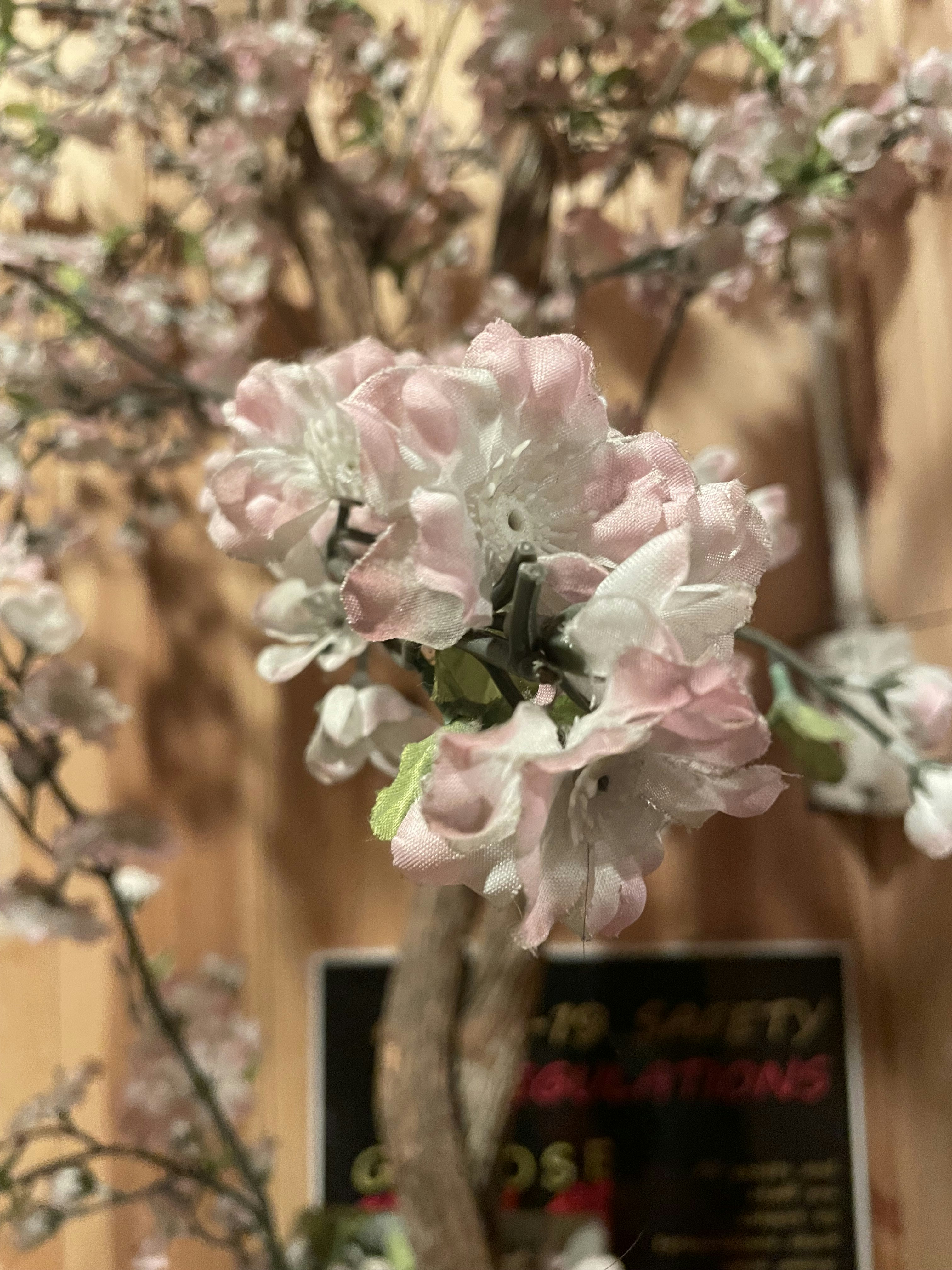 Close-up of artificial pink and white flowers on a branch, showcasing intricate details and textures. The background features a safety regulations sign.