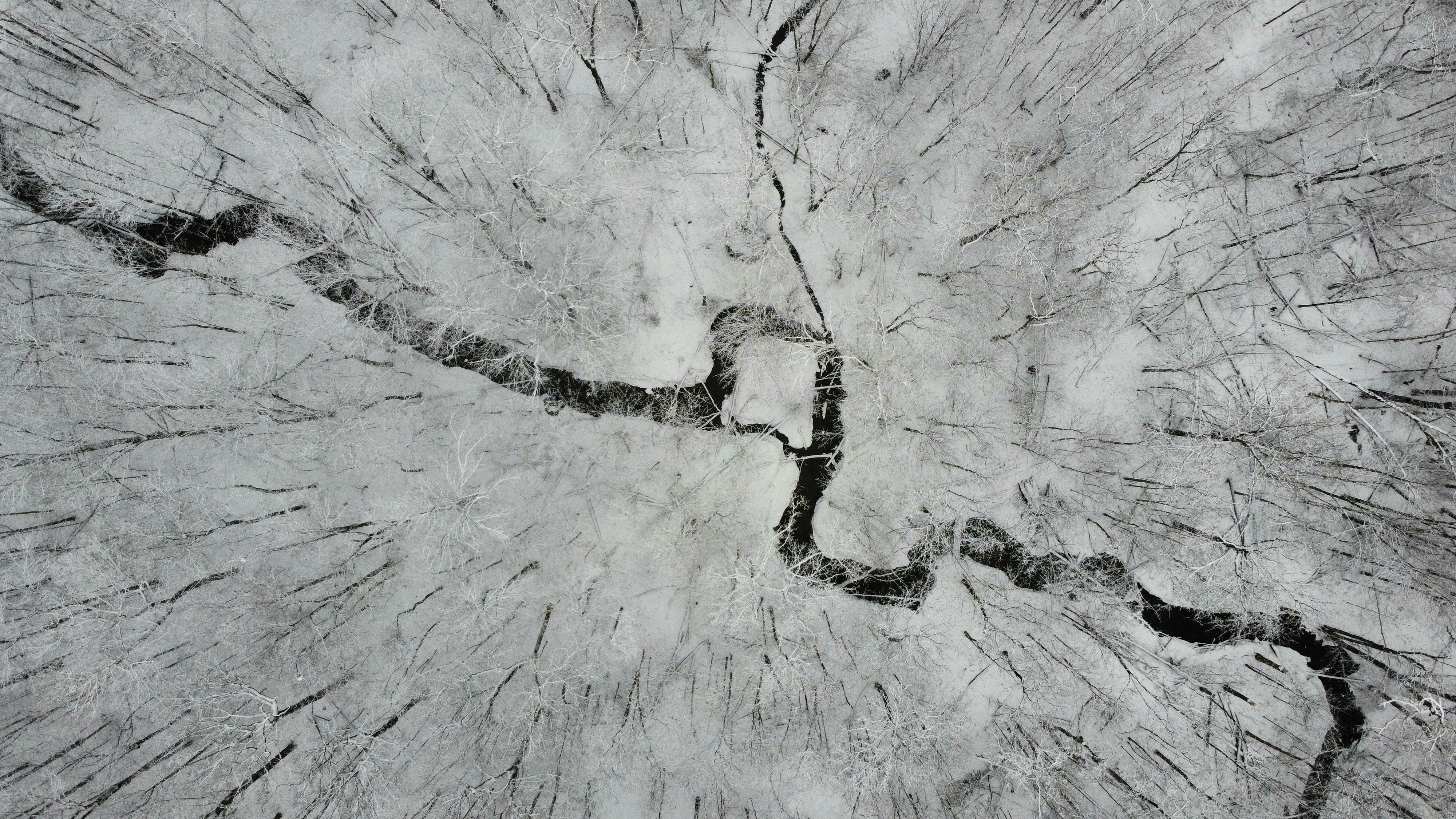 Aerial photograph of a snow-covered forest with a dark, winding river cutting through the trees.