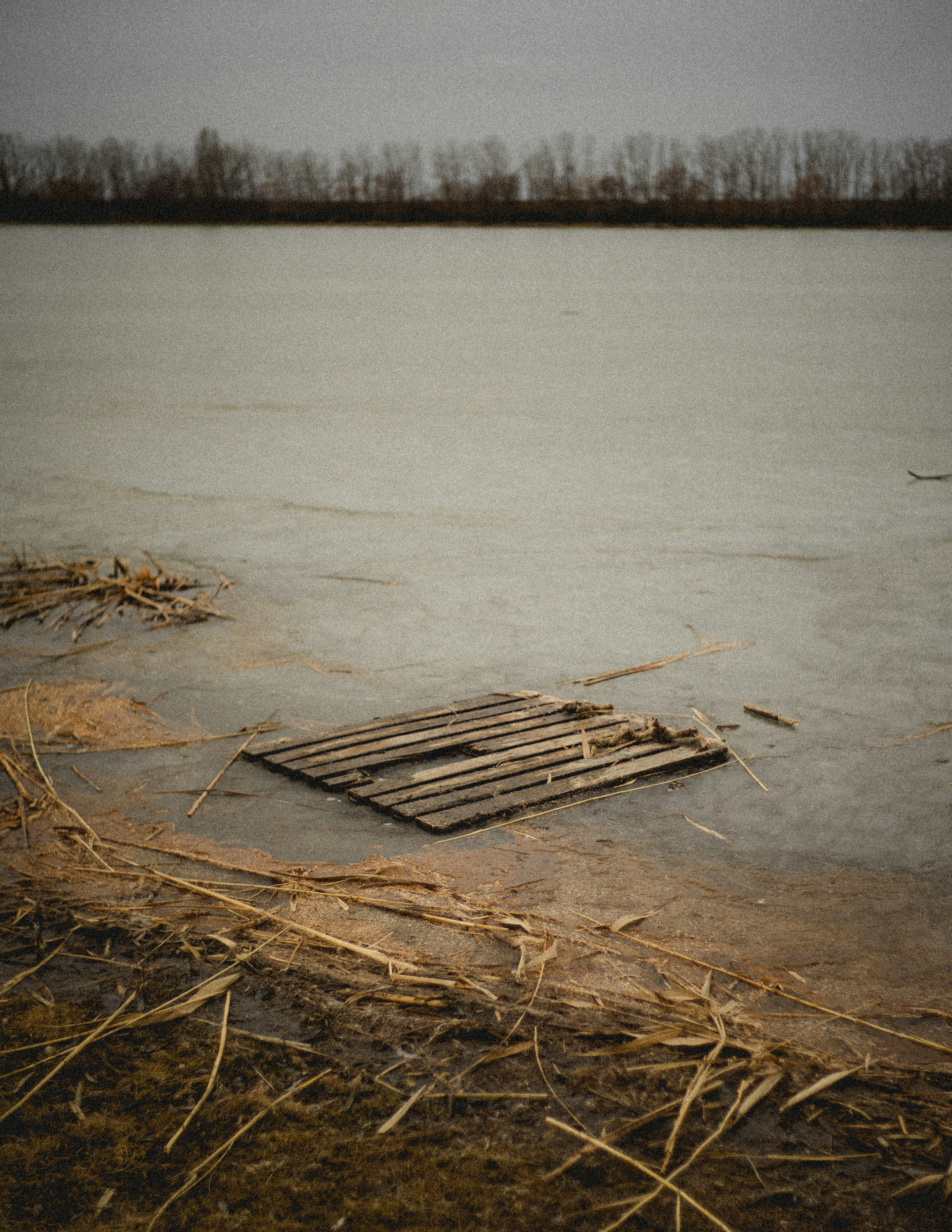 Drifted Pallet at the Quiet River's Edge