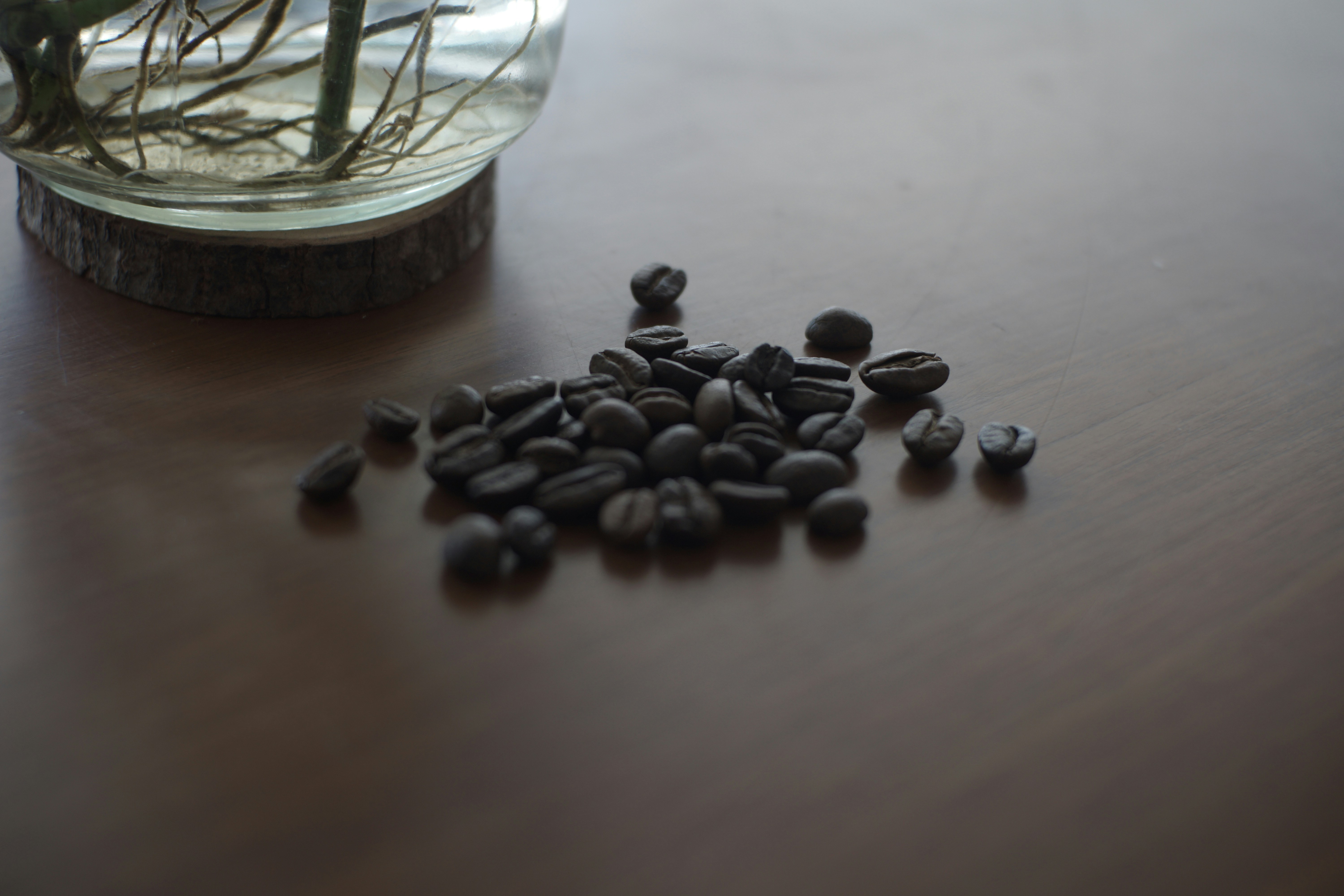 a glass vase filled with water and black beans