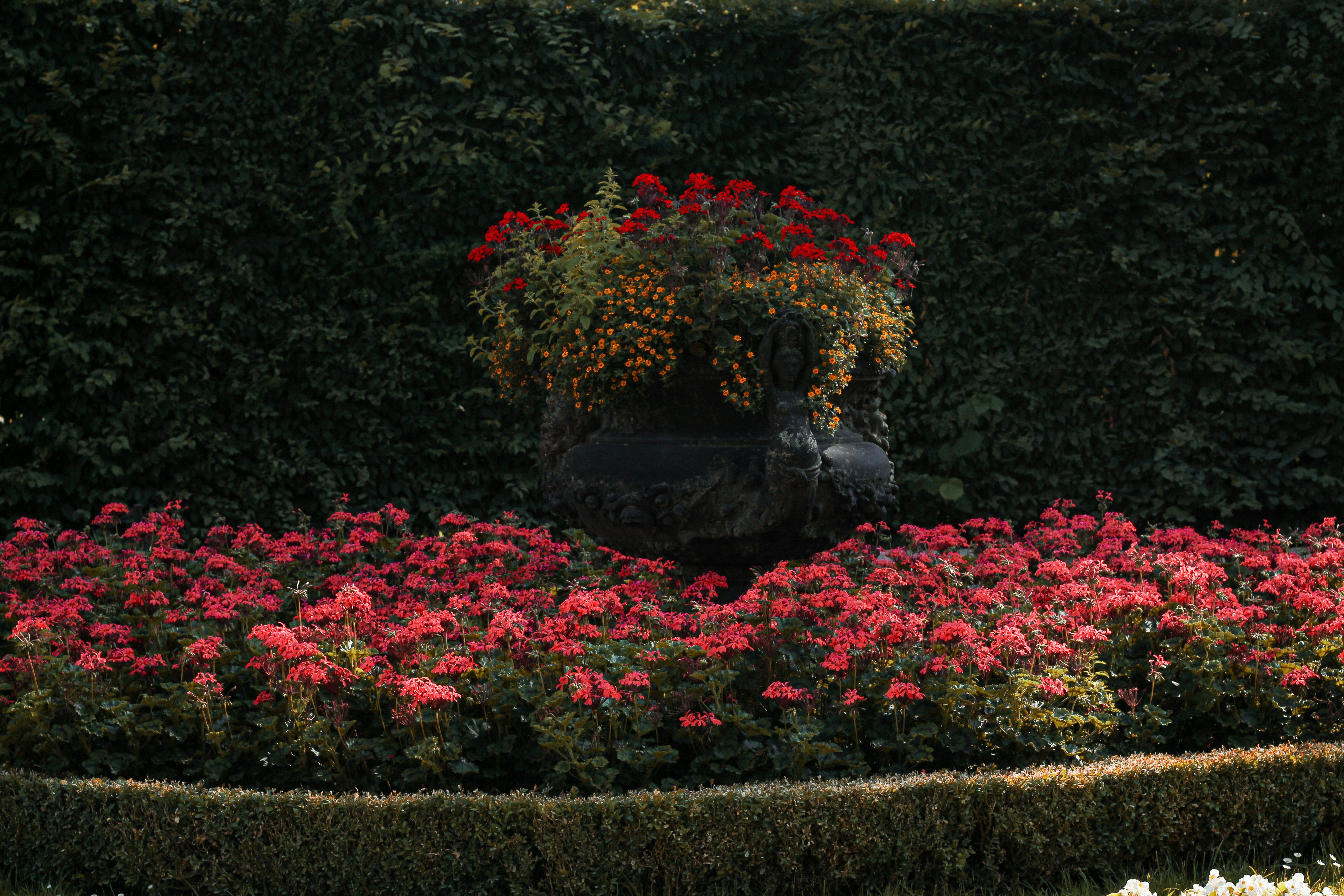 Crimson Parterre: The Urn's Quiet Command