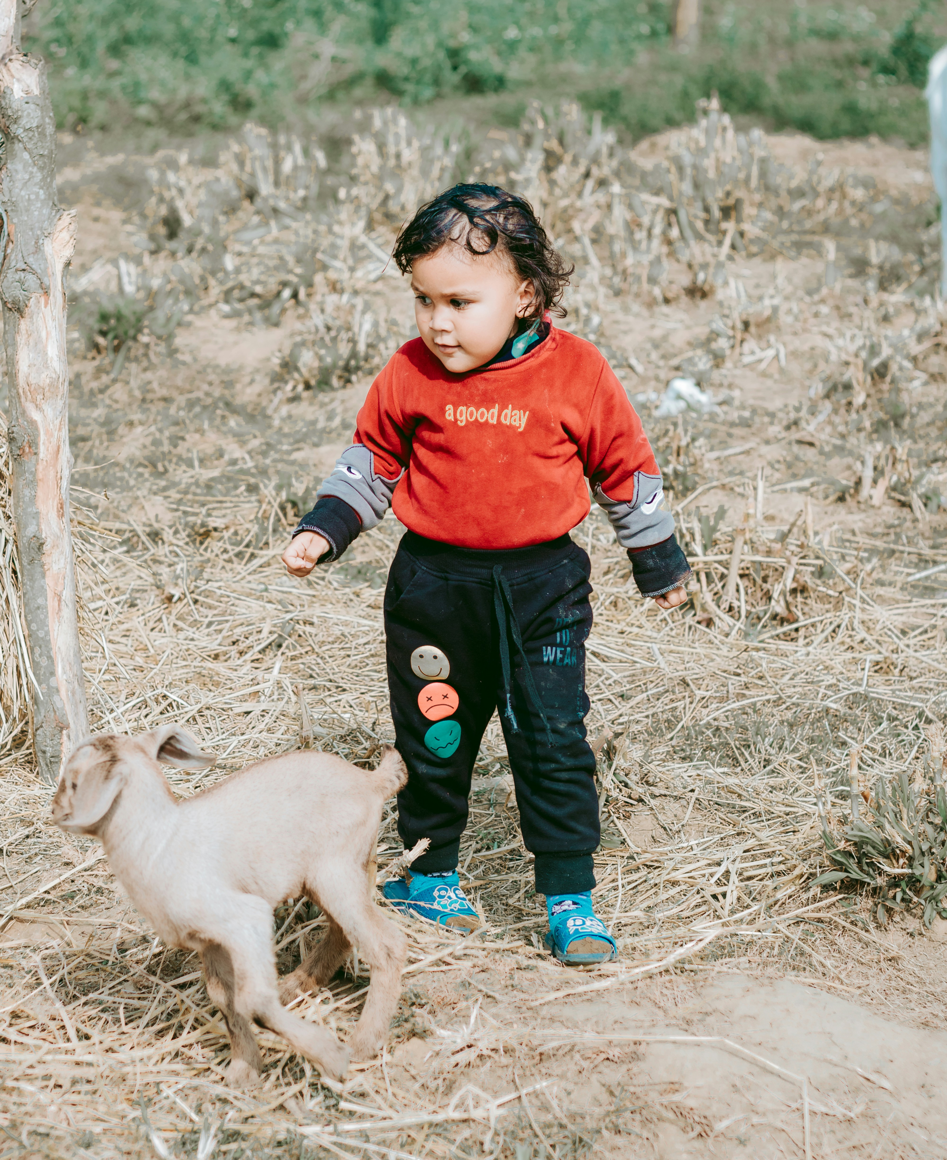 A young girl plays with a baby goat
