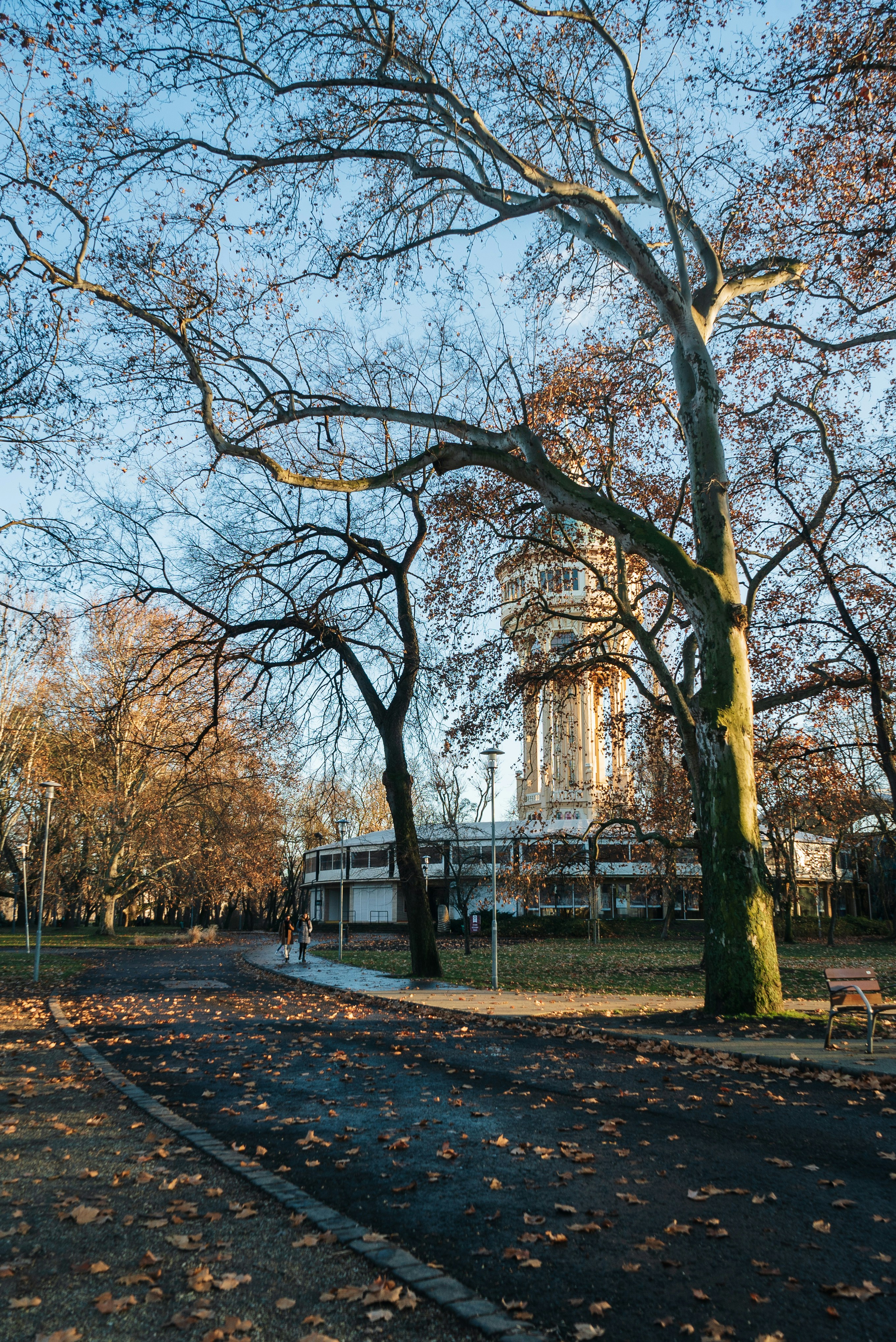 Tree-lined Park at Dusk with Classical Tower Silhouette