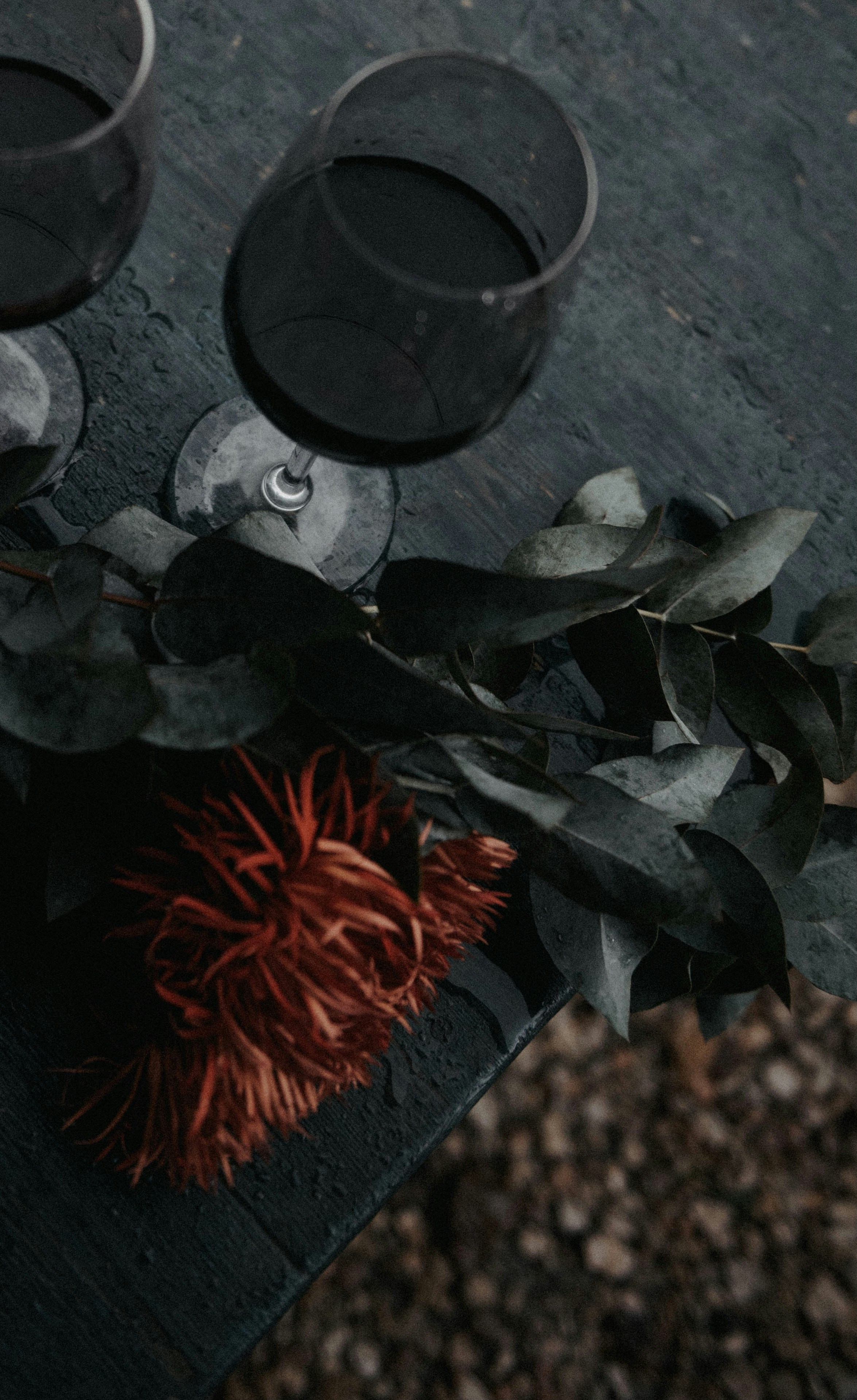 Crimson protea beside rain-kissed glasses on a moody tabletop