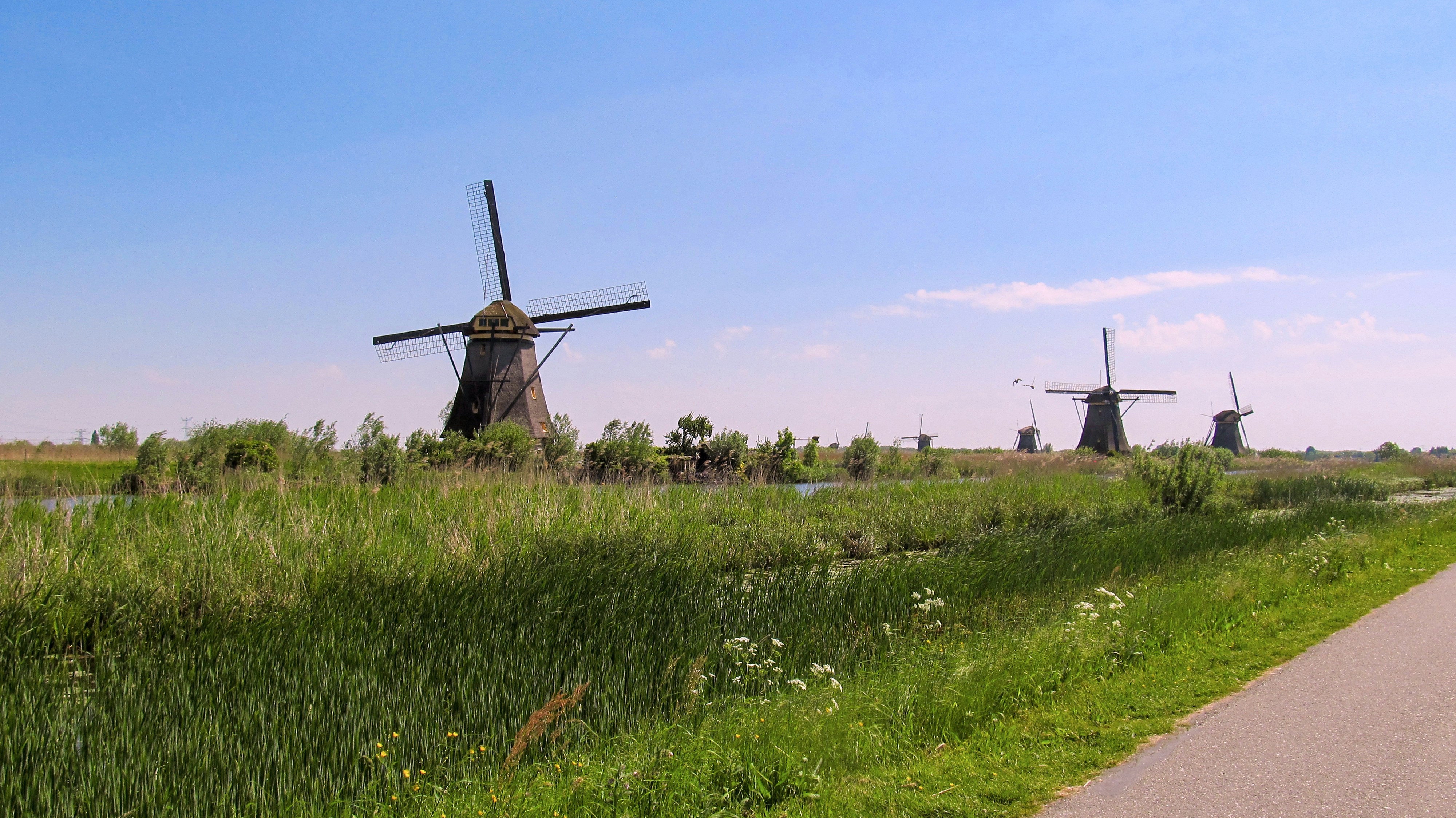 Historic windmills stand gracefully against a bright blue sky, surrounded by lush greenery and serene waterways.
