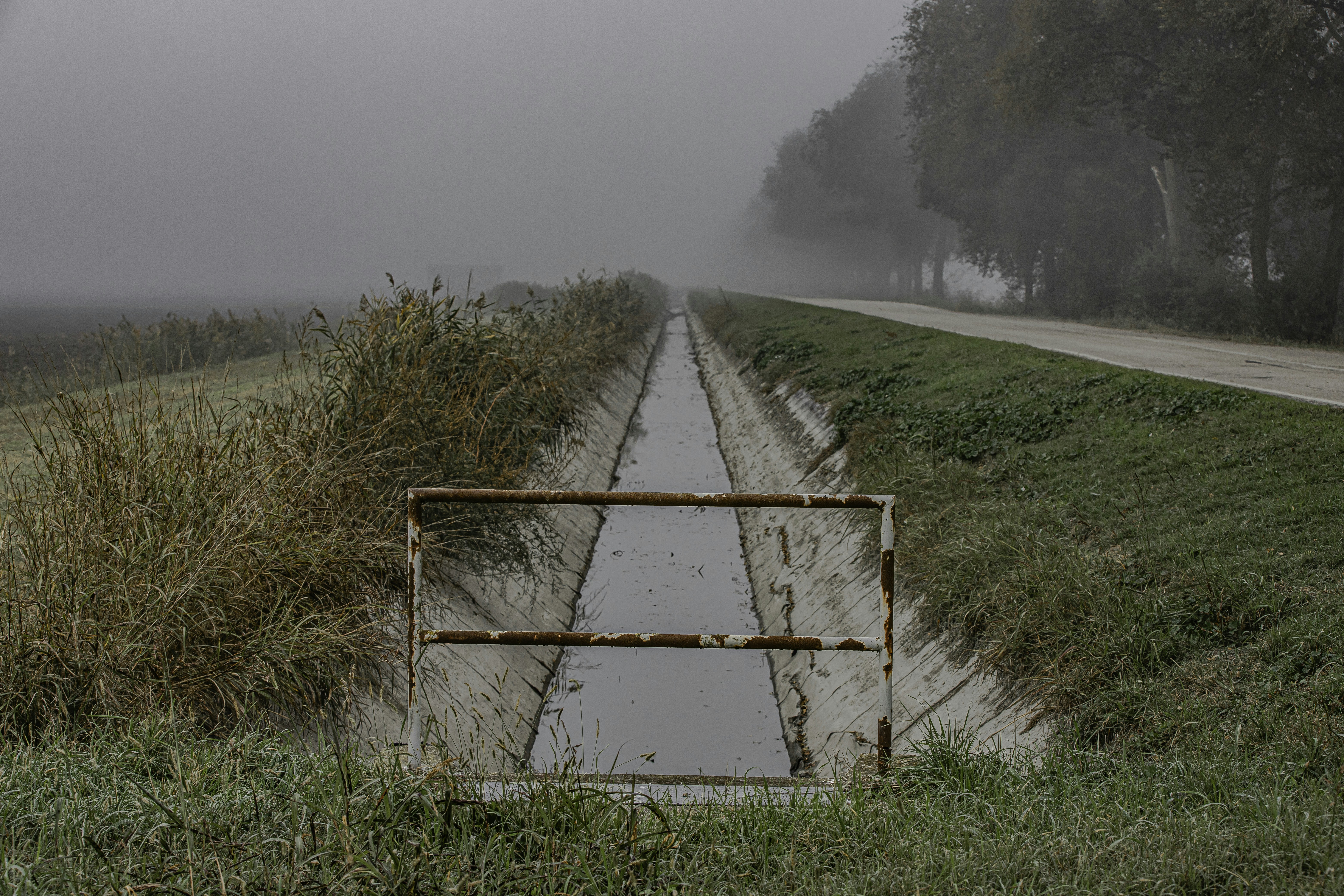 Rusted Barrier at the Edge of a Fog-Washed Canal