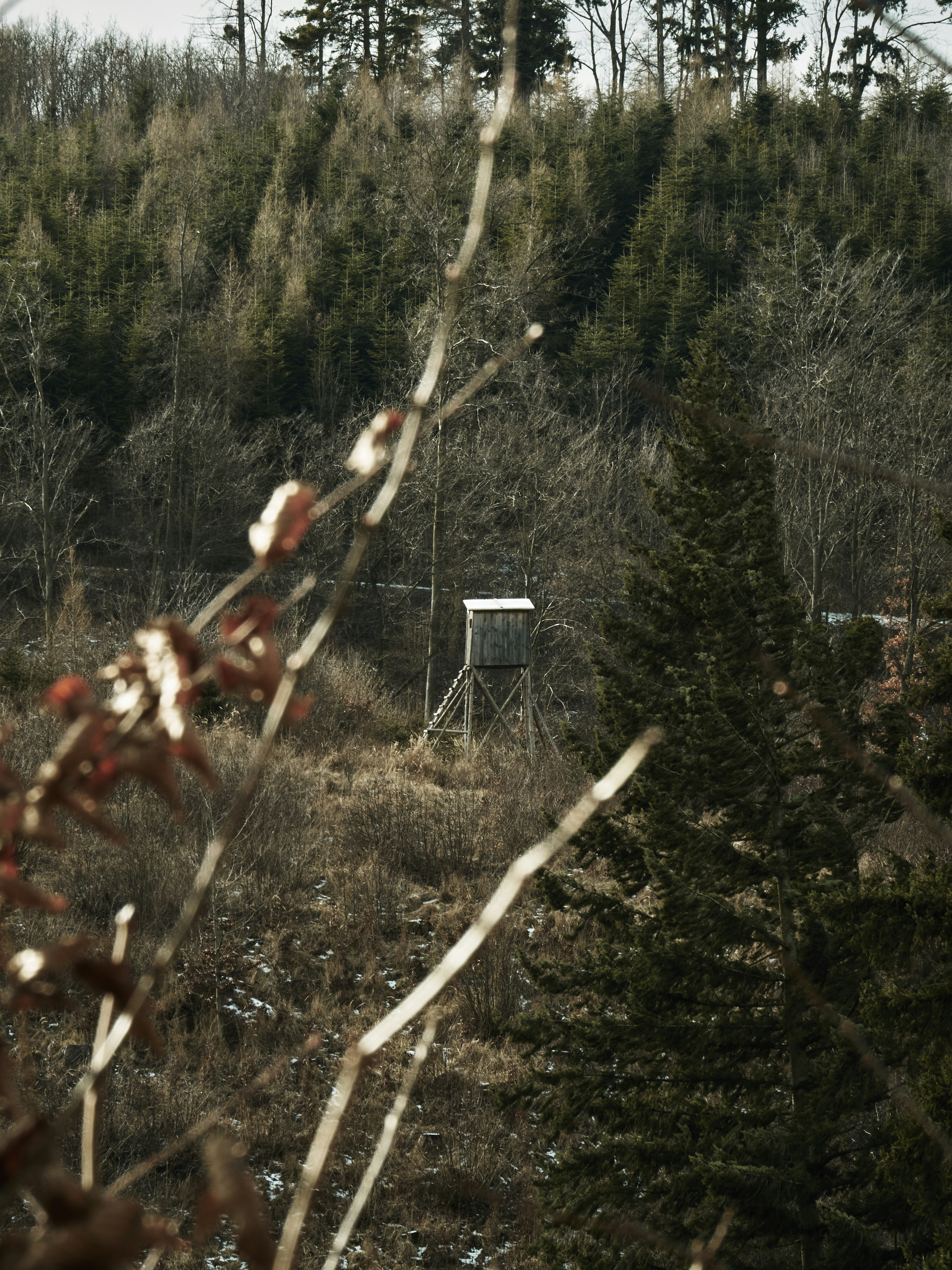 a small white building in the middle of a forest