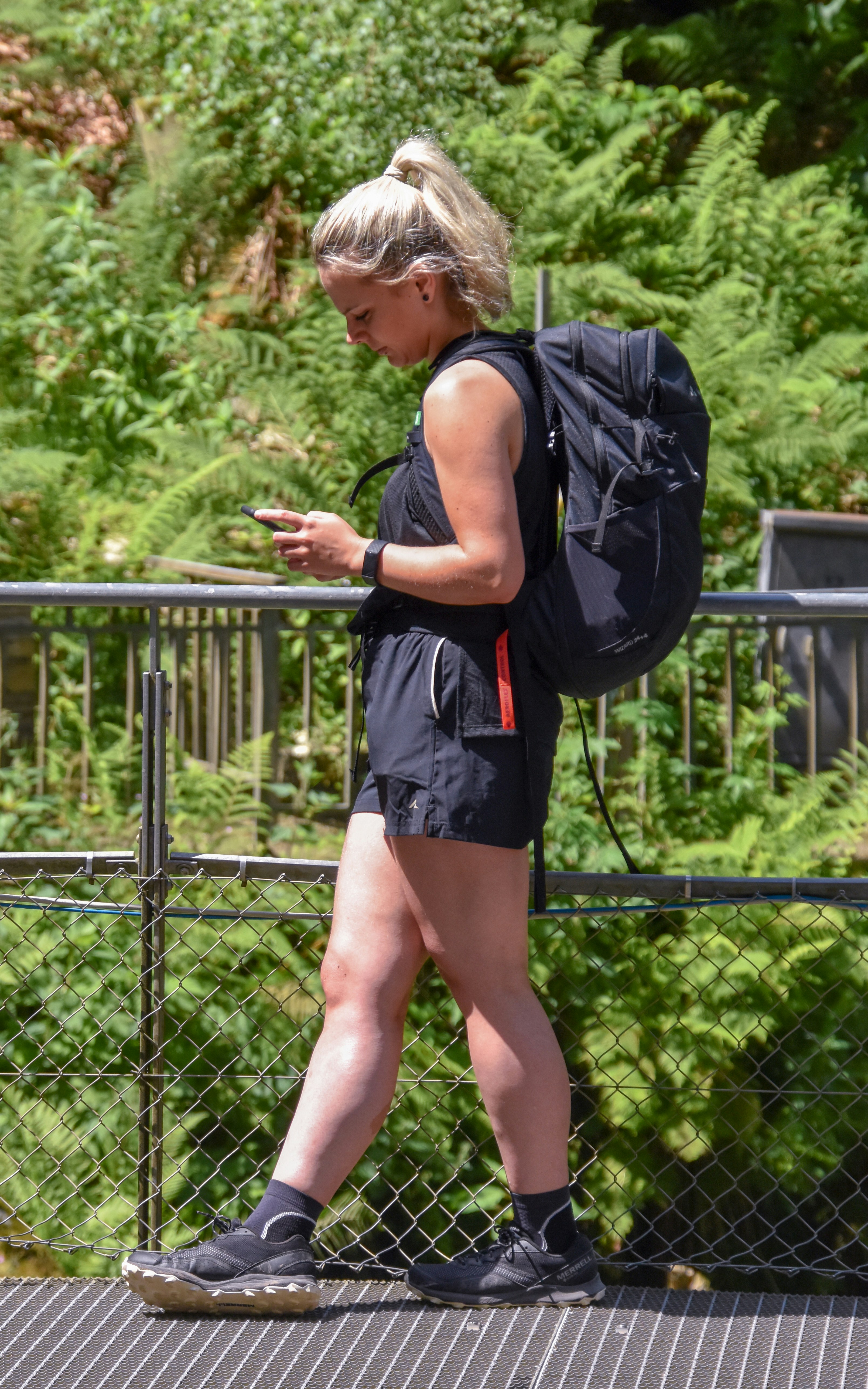 Sunlit Trek: a lone hiker pauses on a fern-framed bridge to check her phone