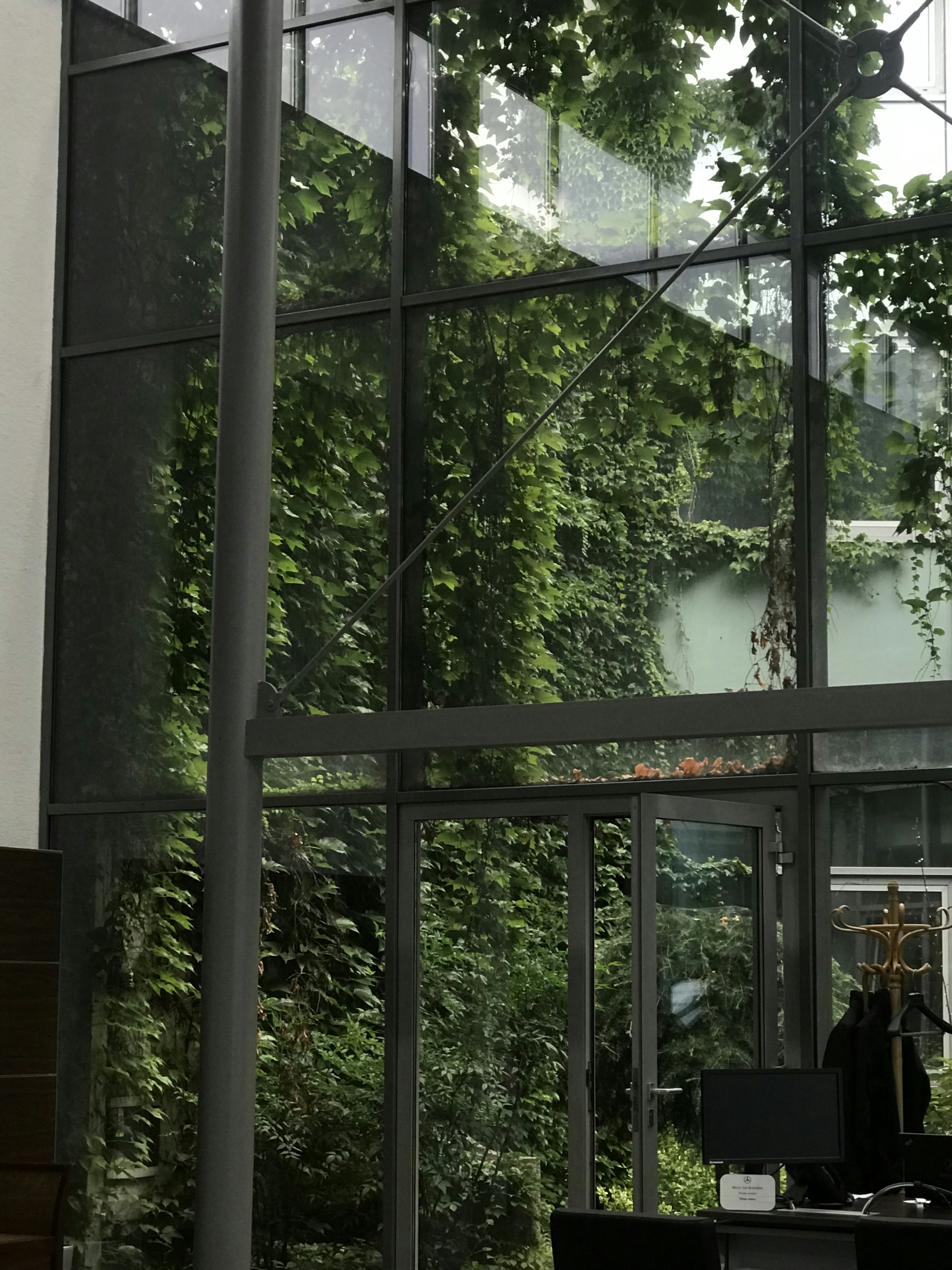 Greenery through Glass: A Modern Atrium Office Scene