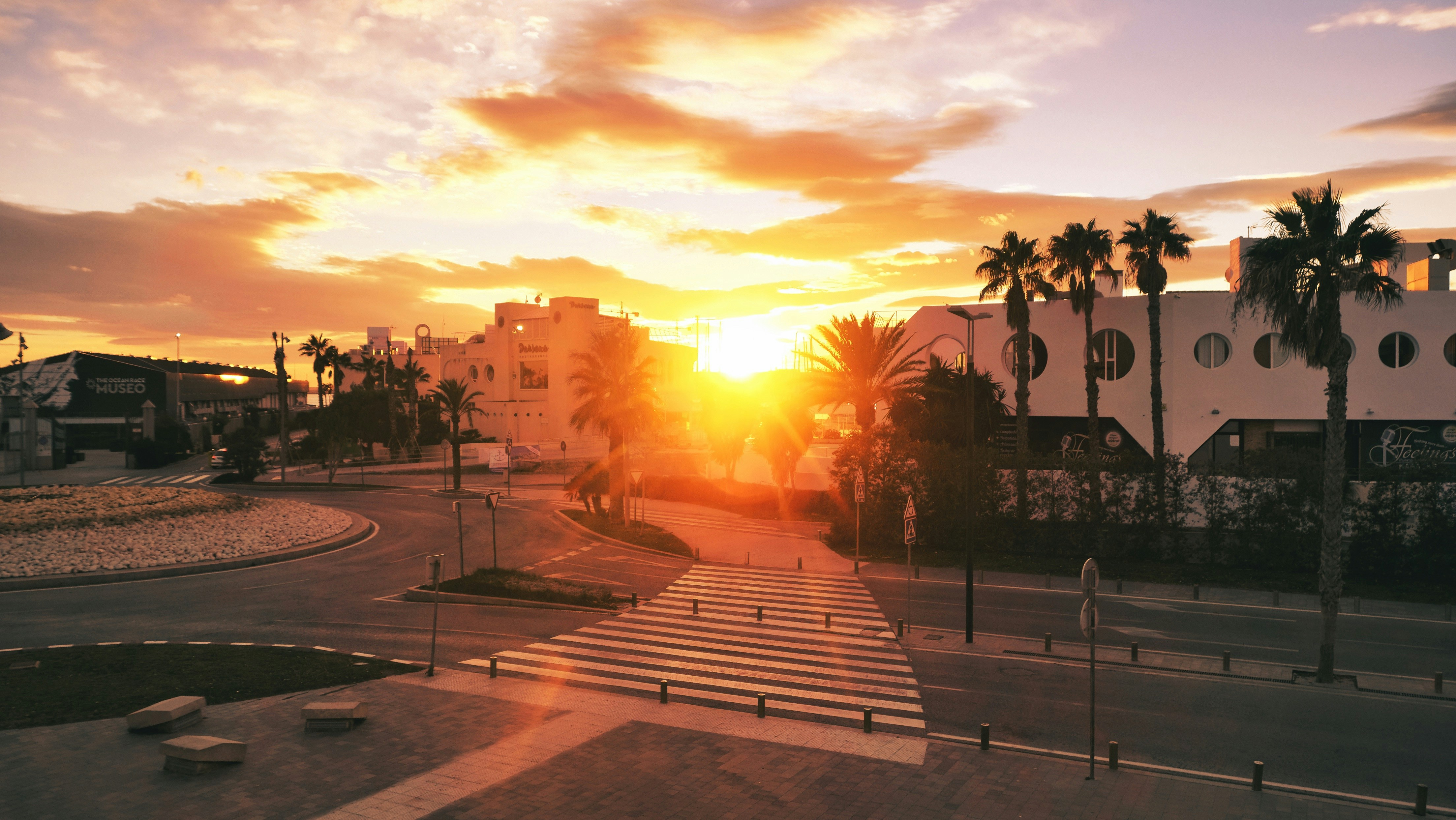 Sunset Crosswalk: Palm-Lined Boulevard Emerges in Golden Hour Glow