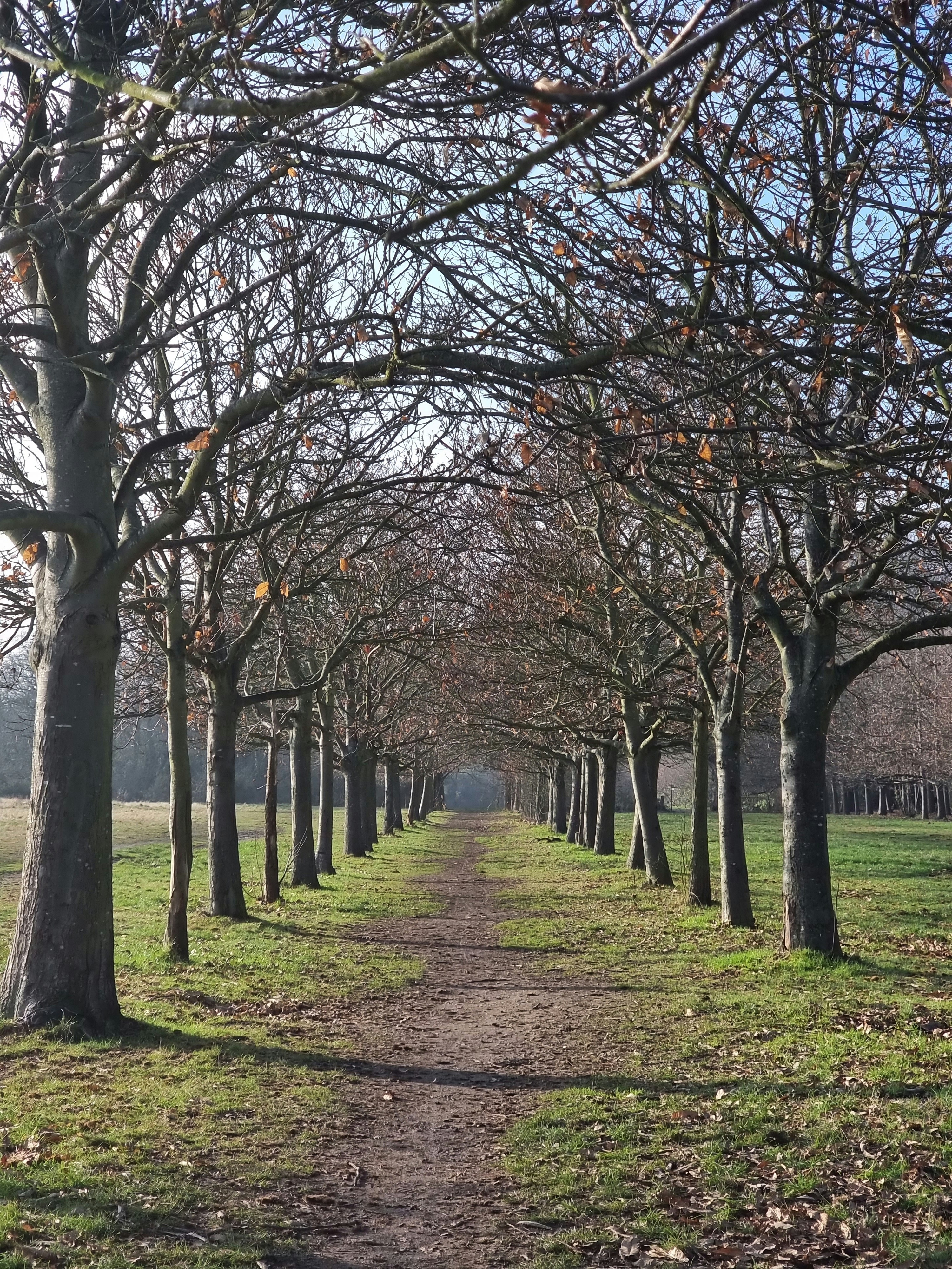 Photo by Manel Mizyed with Samsung Galaxy S21 Ultra