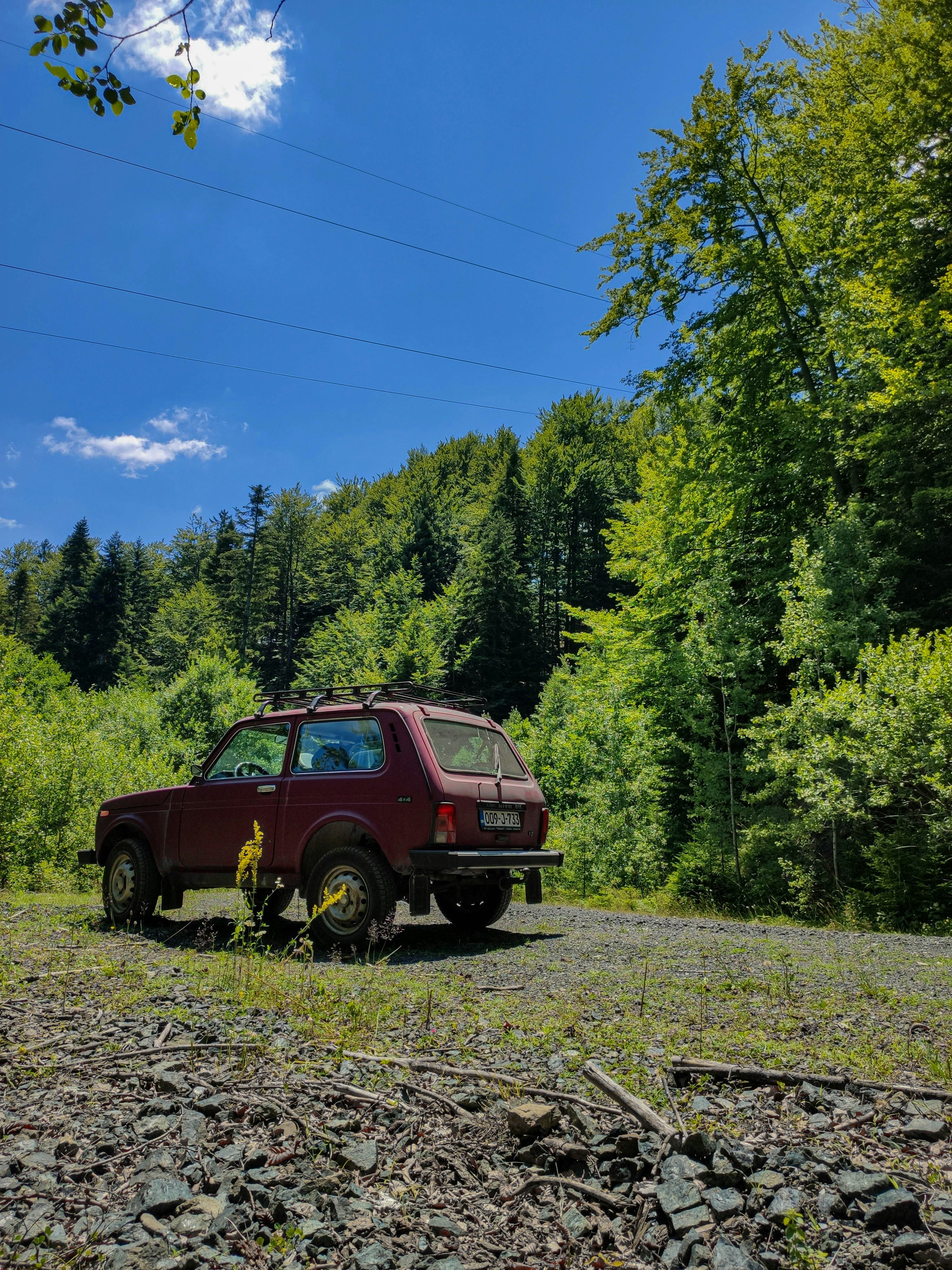 A maroon SUV sits on a rocky clearing framed by tall pines beneath a bright blue sky.