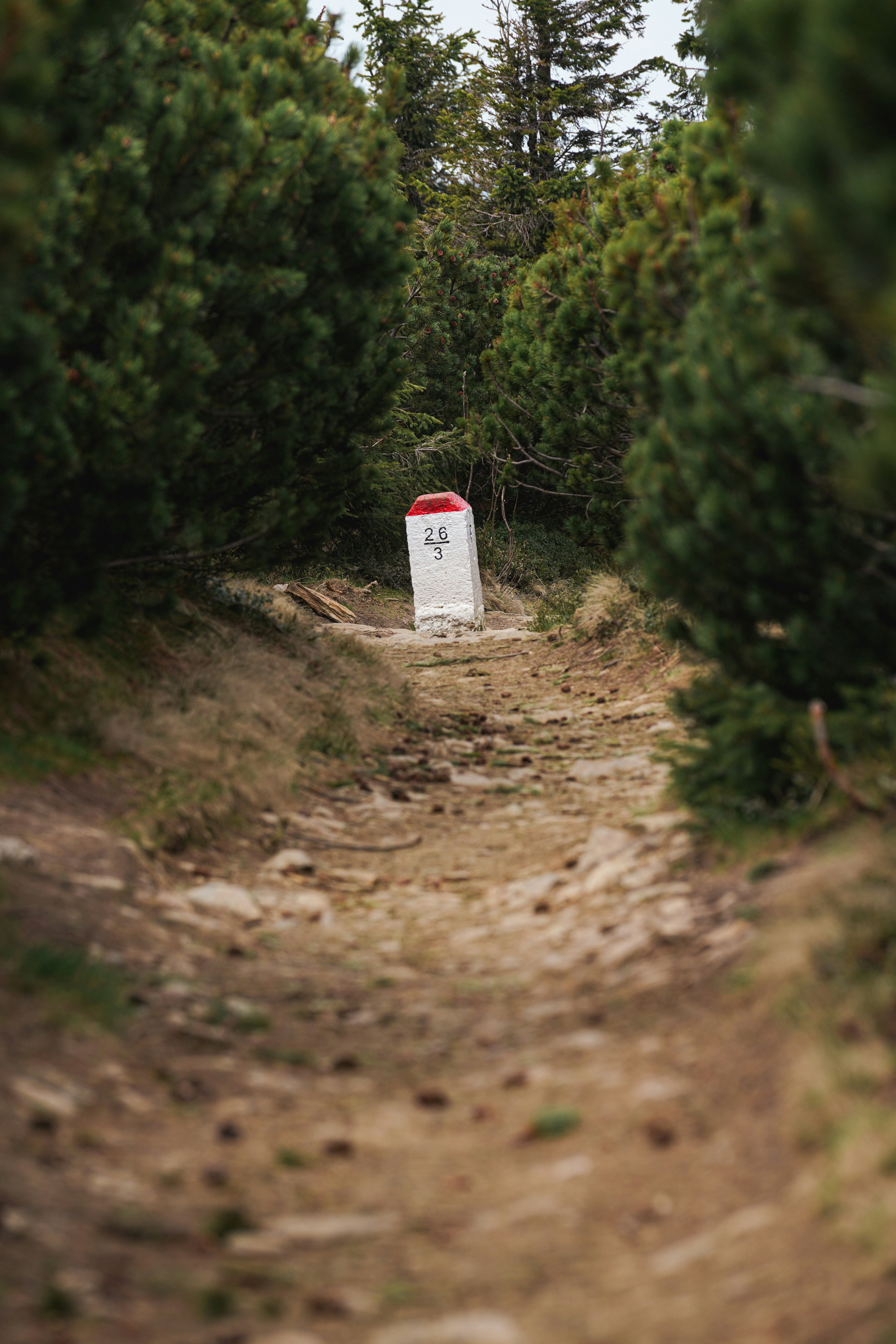 A dirt path with a sign in the middle of it photo – Free Border Image ...