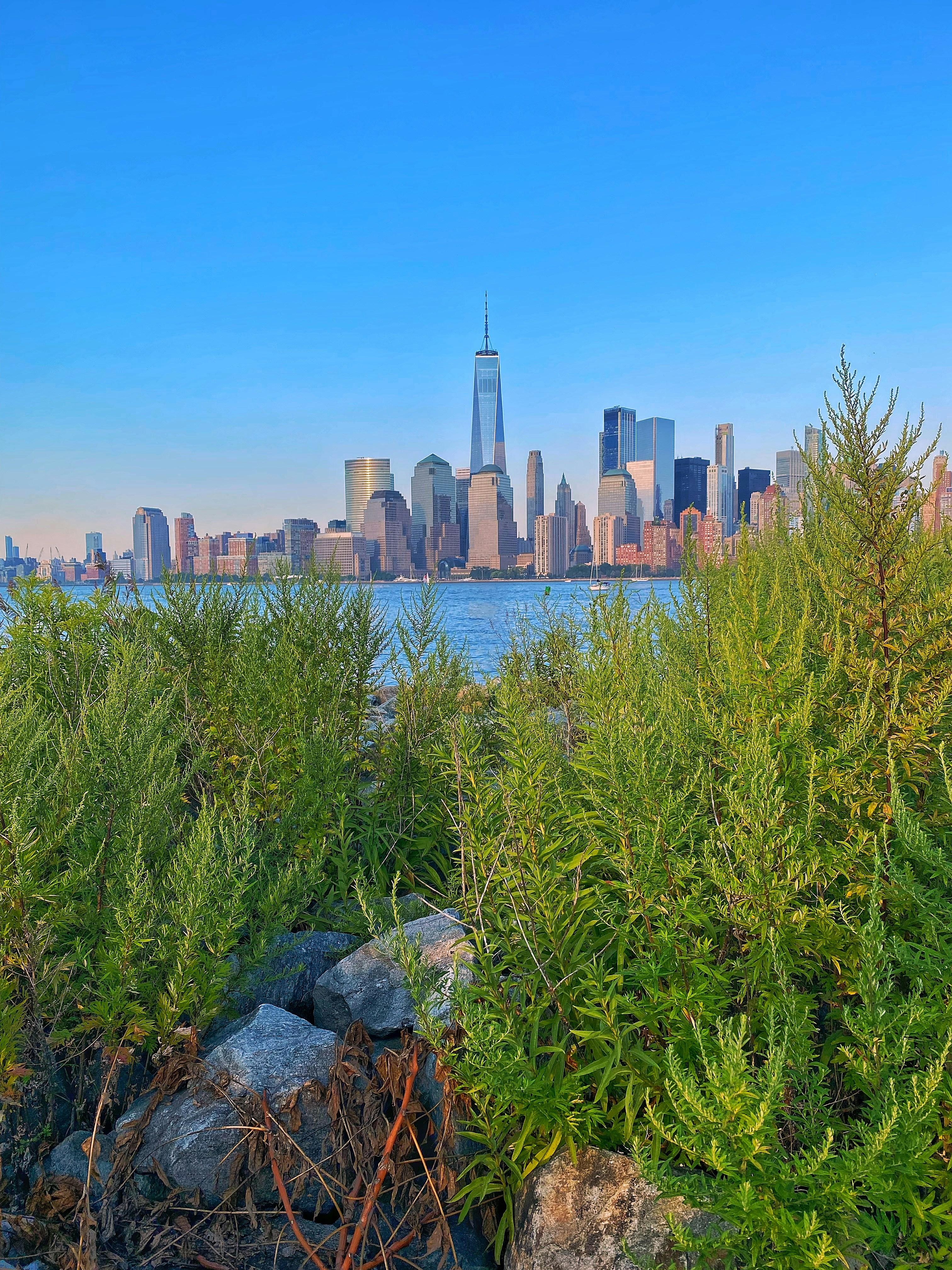 Manhattan Skyline Emerges Over Green Foreshore