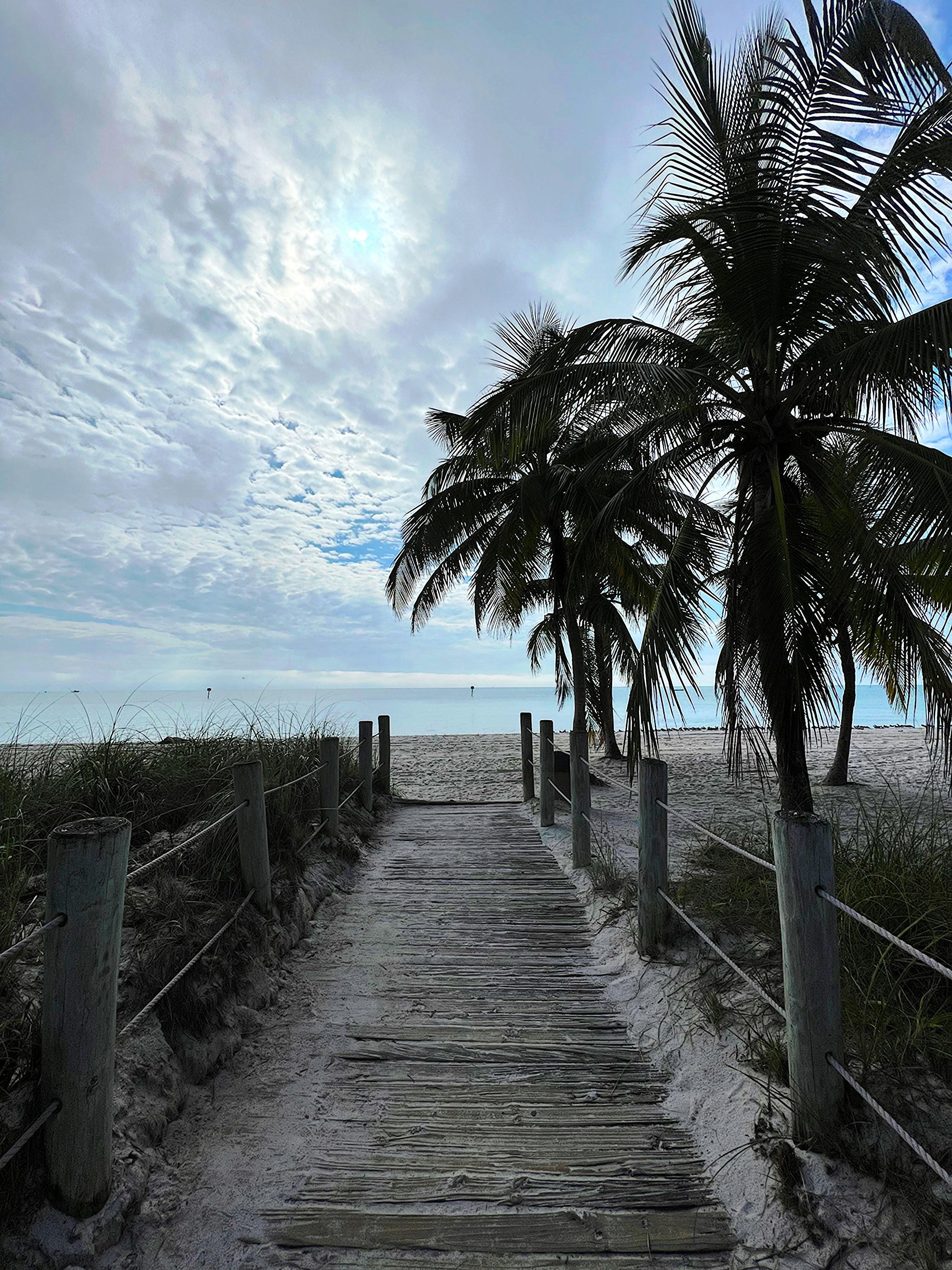 Palm Gate to the Sea: A Wooden Path through Dunes toward a Cloudy Coastline