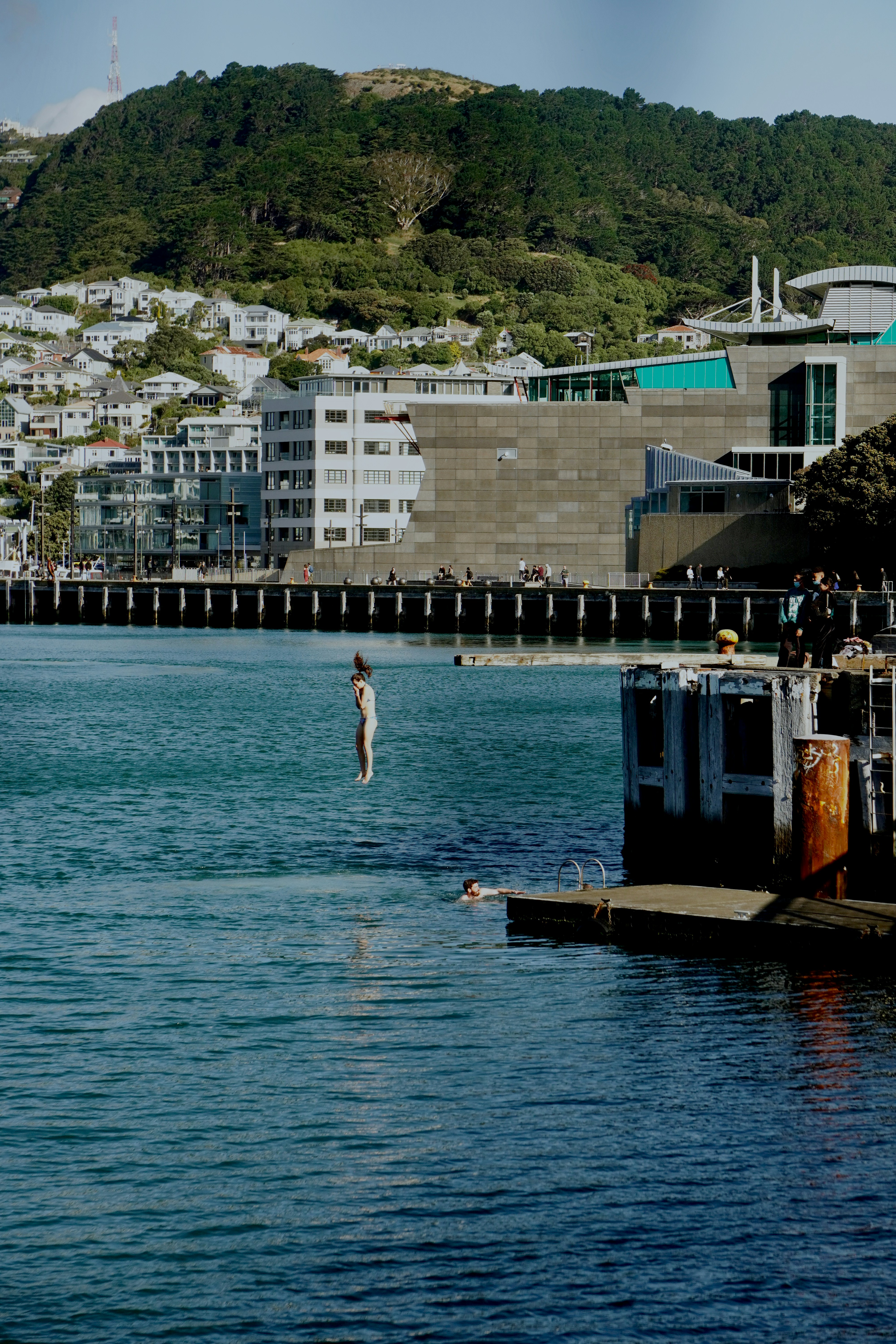 Teenagers jumping off the pirate plank on the Wellington waterfront, Te Papa Tongarewa in the background. | a body of water with buildings in the background