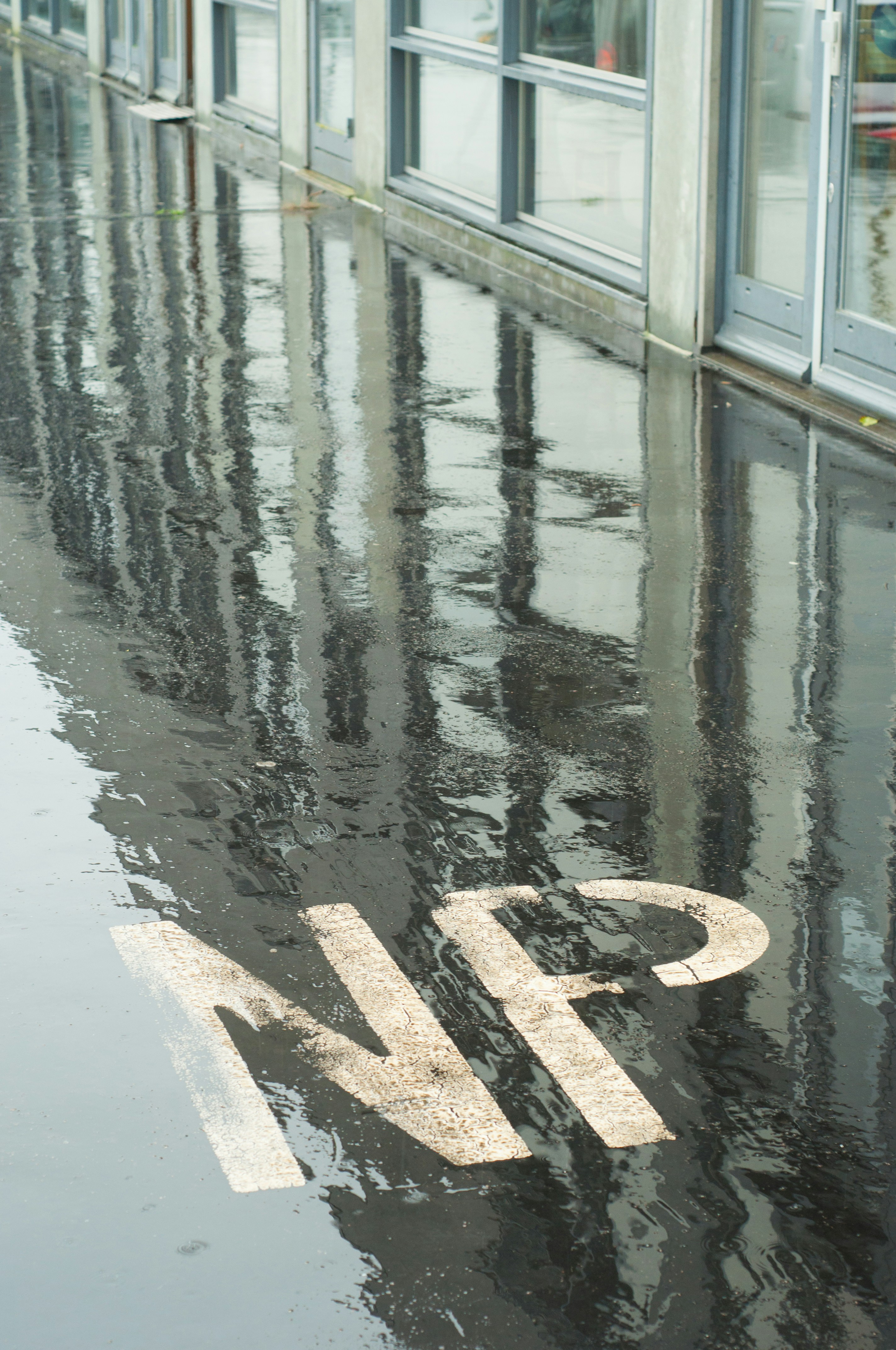 Wet pavement reflecting the surrounding architecture with the letters 'NP' prominently displayed. The scene captures a moment of urban tranquility after rain.