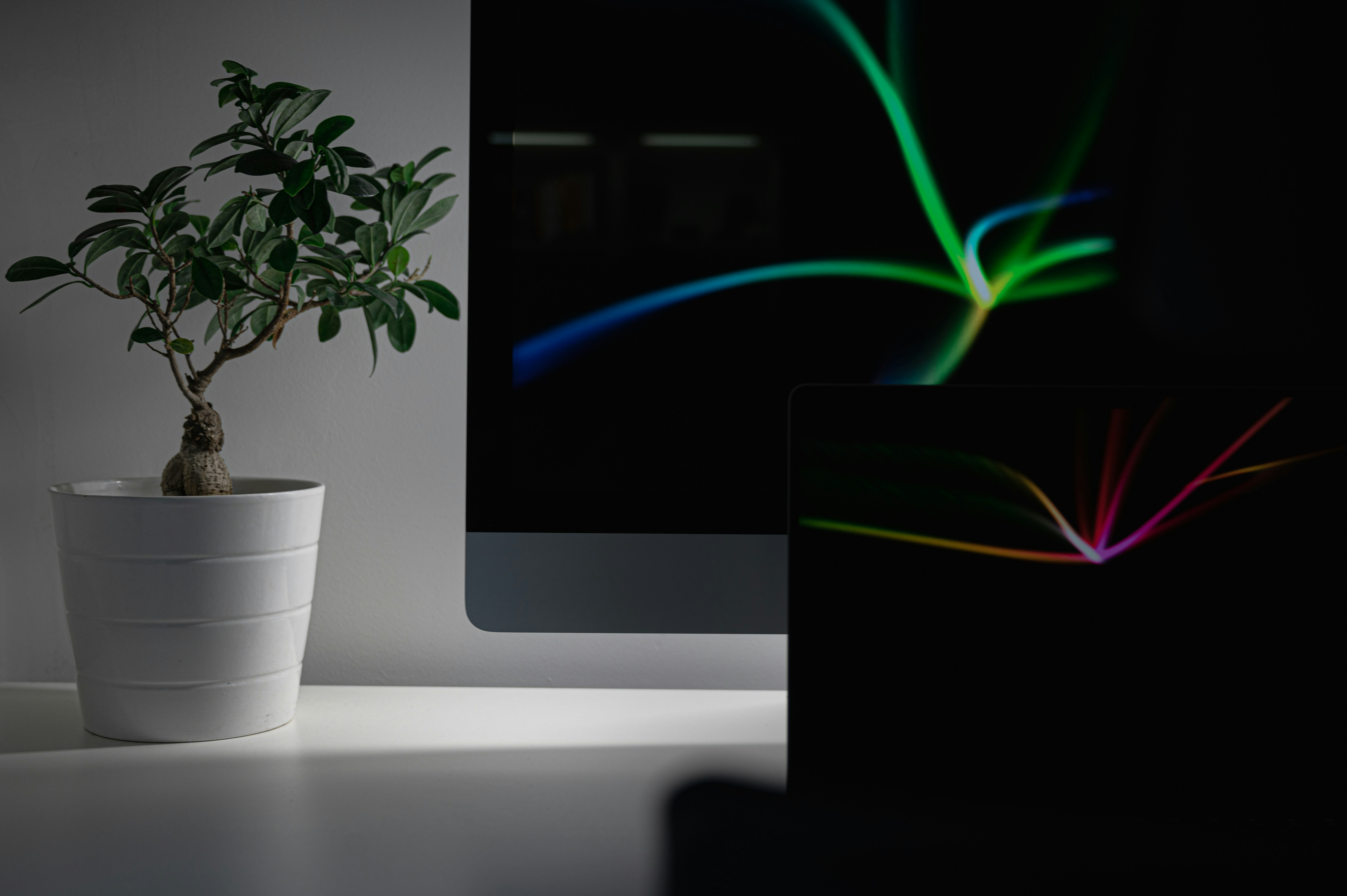 Minimal Tech Desk: Bonsai, Monitor, and Neon Reflections