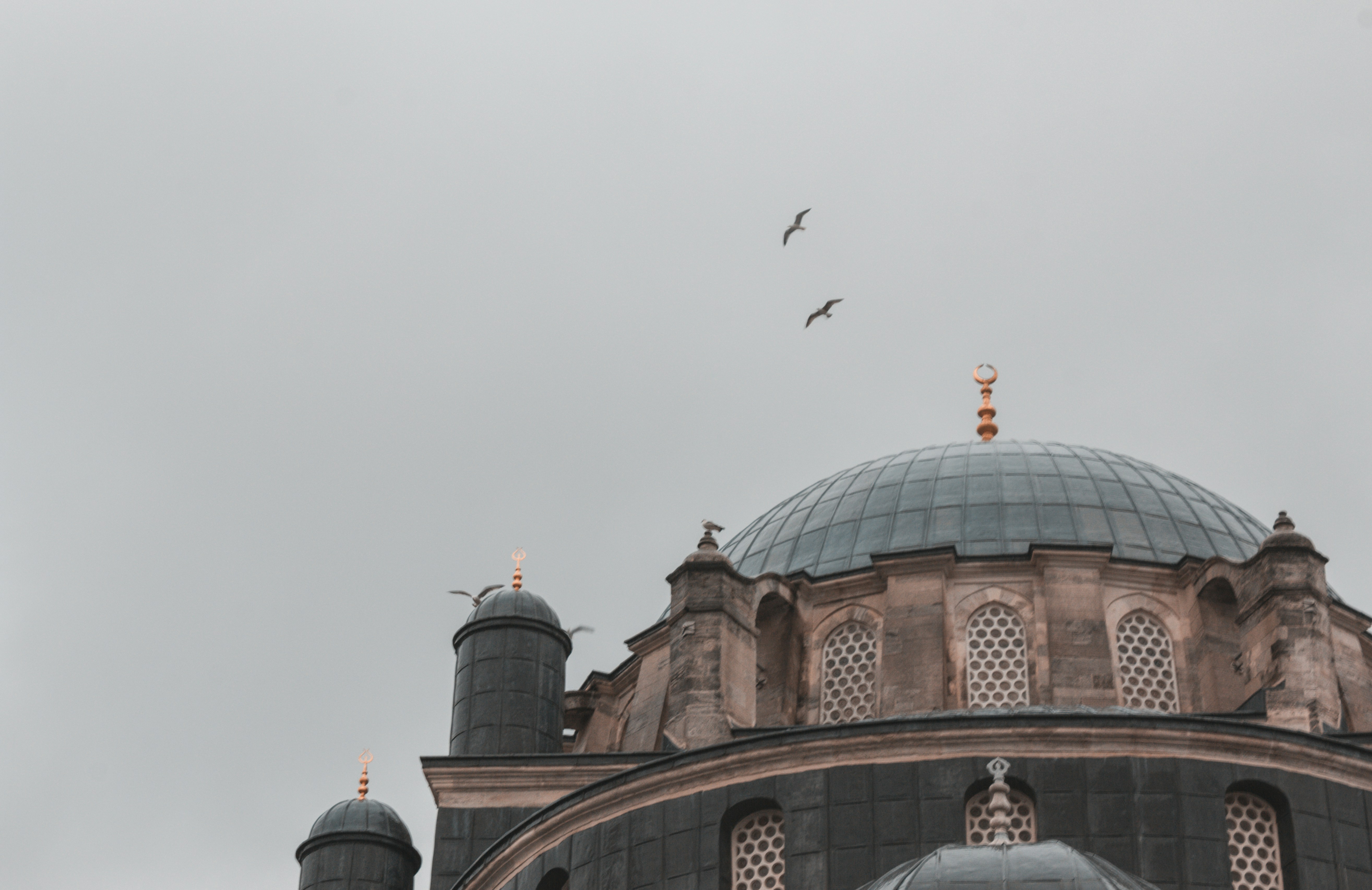 Stone Dome and Skies: Gulls Trace the Skyline Over Historic Stonework