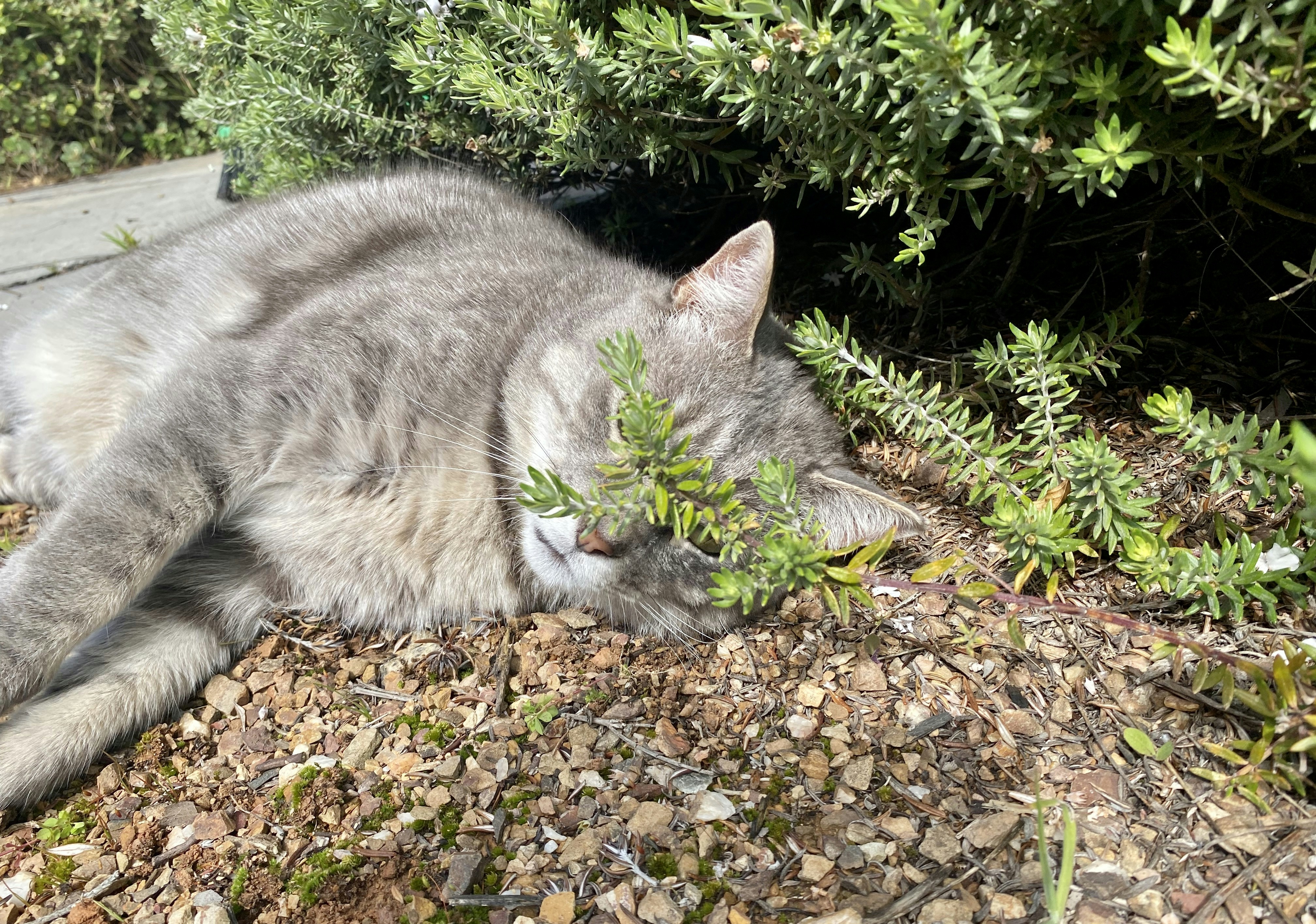 Kate Stone Matheson (@kstonematheson) | Unsplash Photo Community