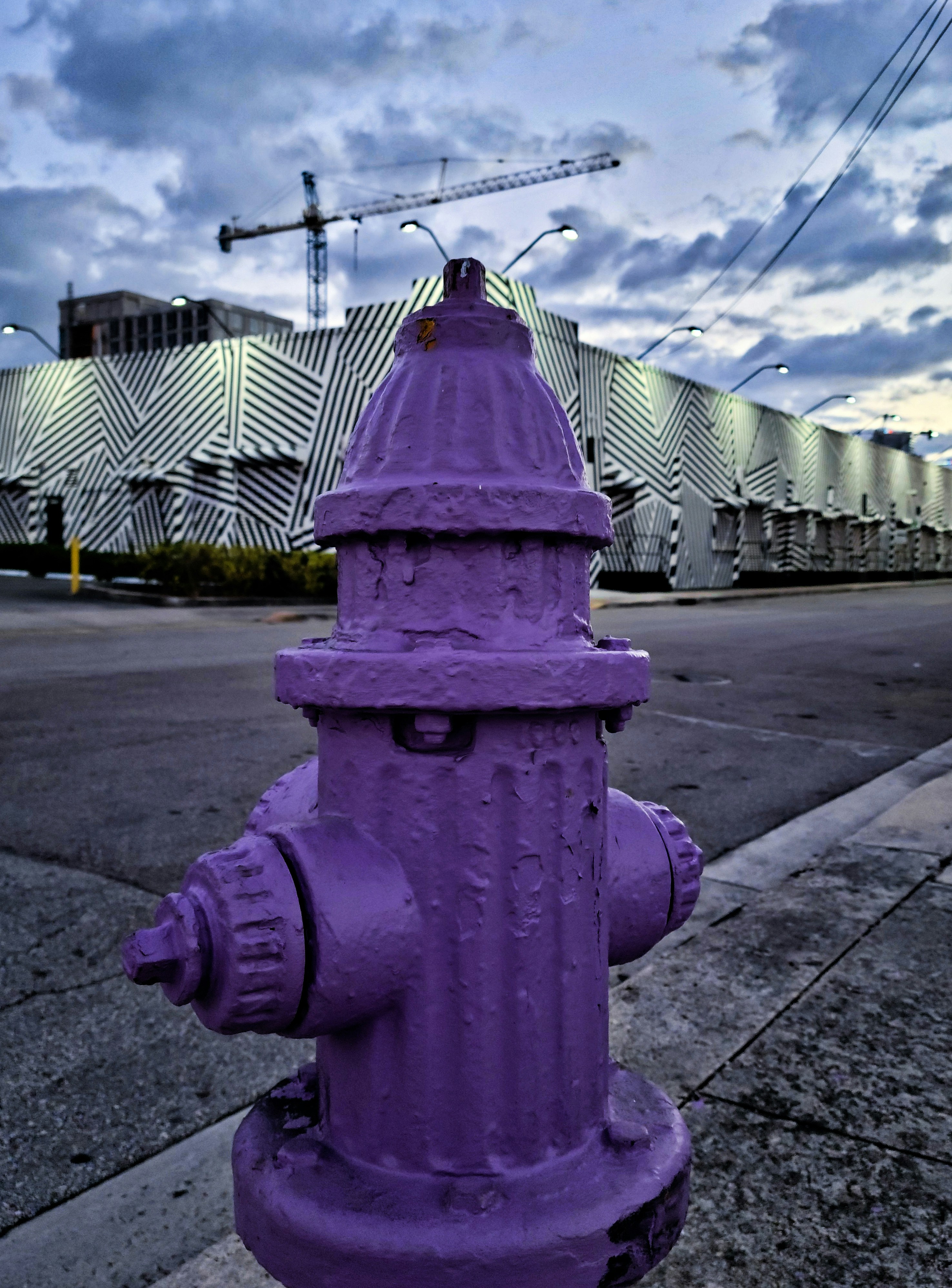 A purple fire hydrant dominates the foreground while a striped construction wall and crane loom over a cloudy urban backdrop.