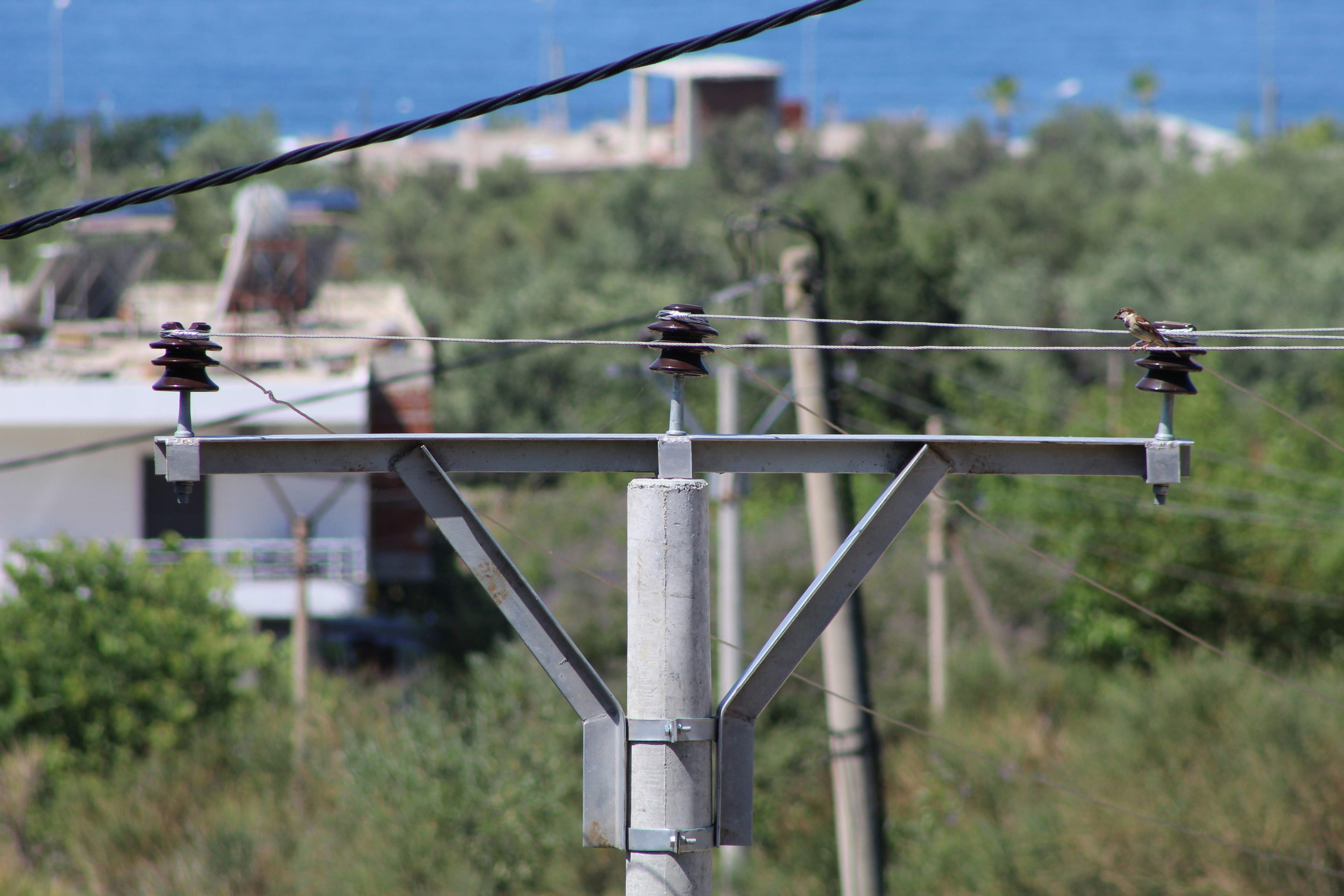 Central Gridwork: A Close-Up on a Rural Transmission Post